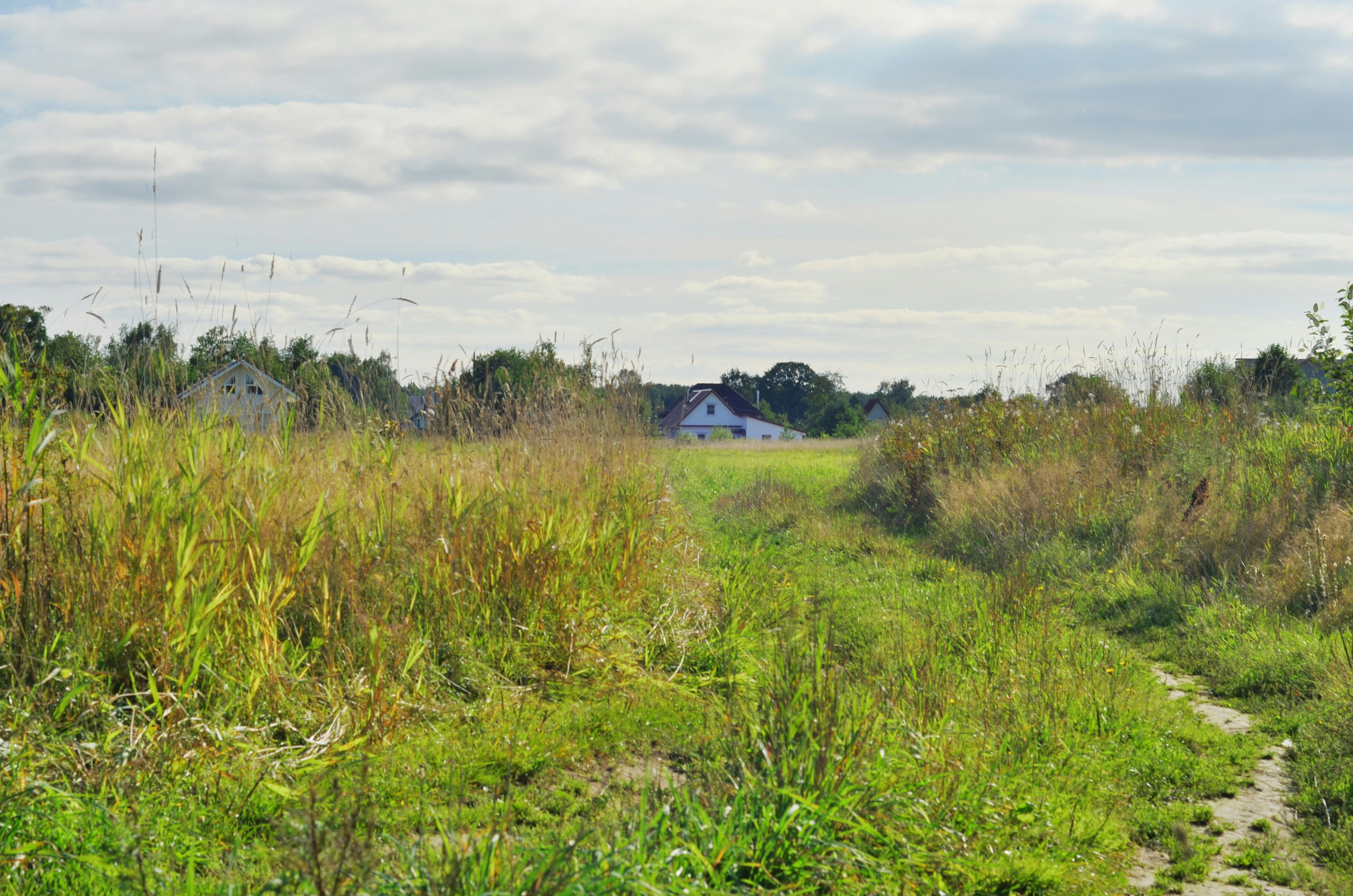 Path through a sunlit meadow toward a distant farmhouse