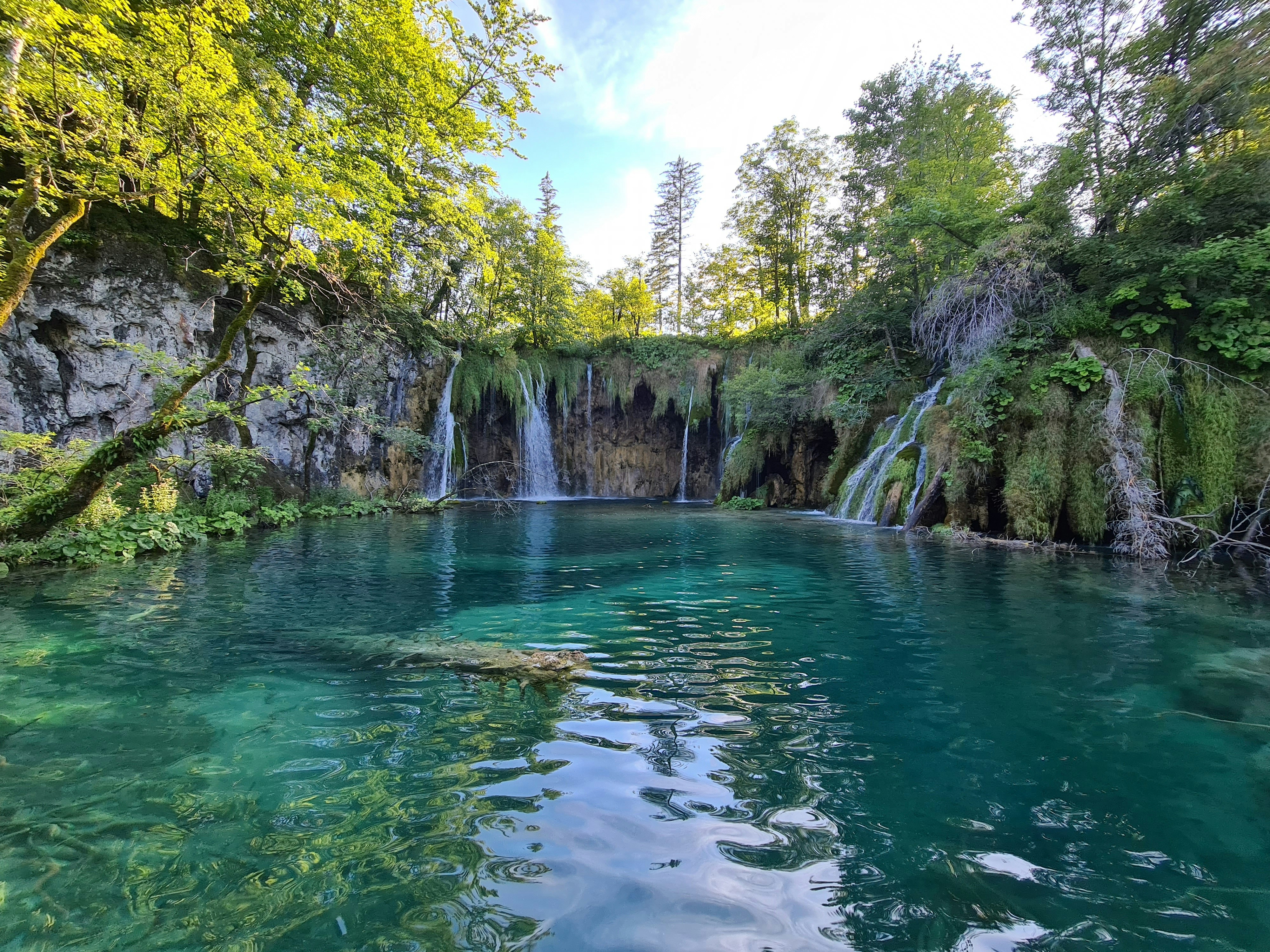 green body of water between green trees during daytime