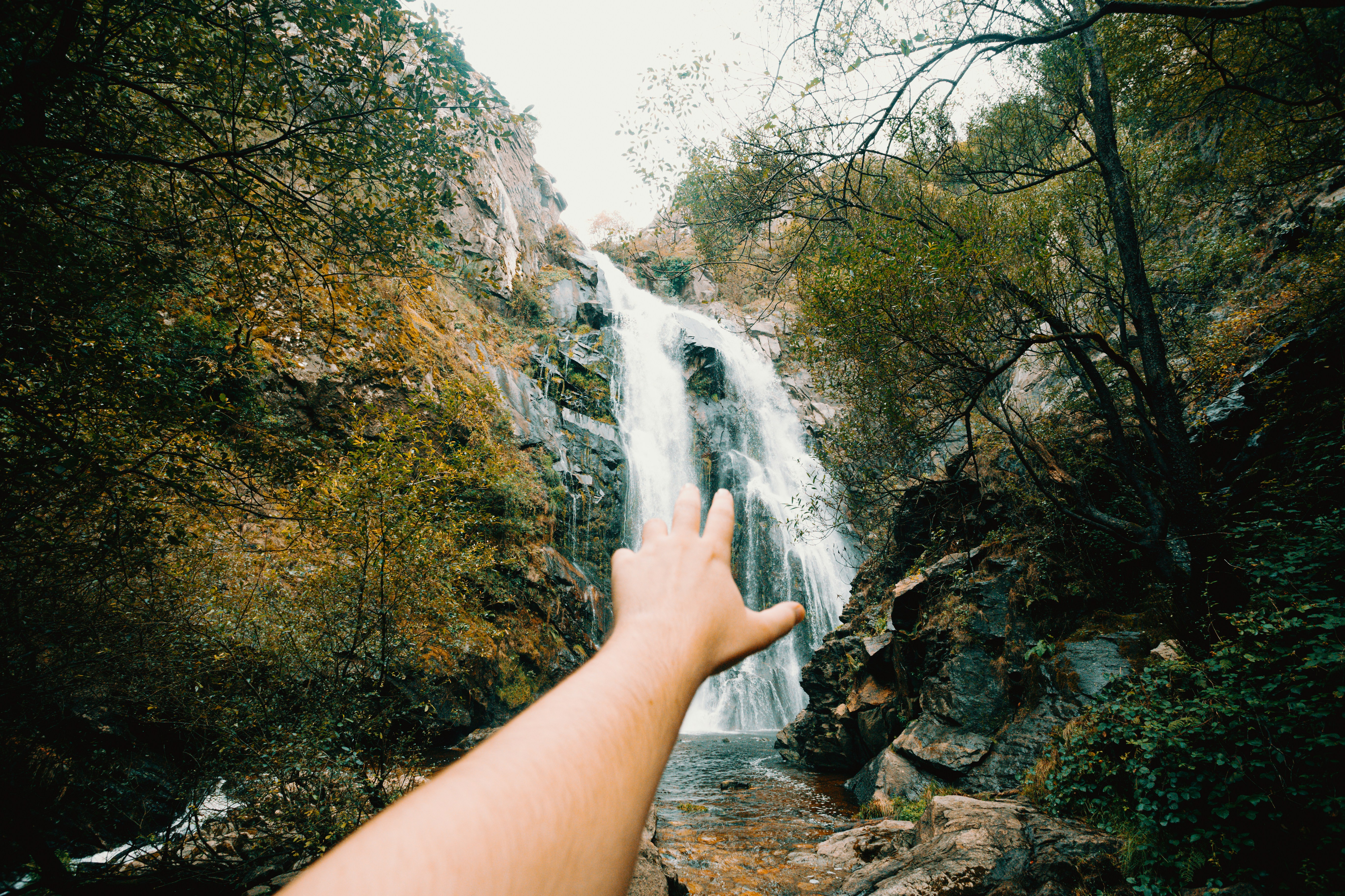 Touching the Cascade: Hand Reaches Toward a Forest Waterfall