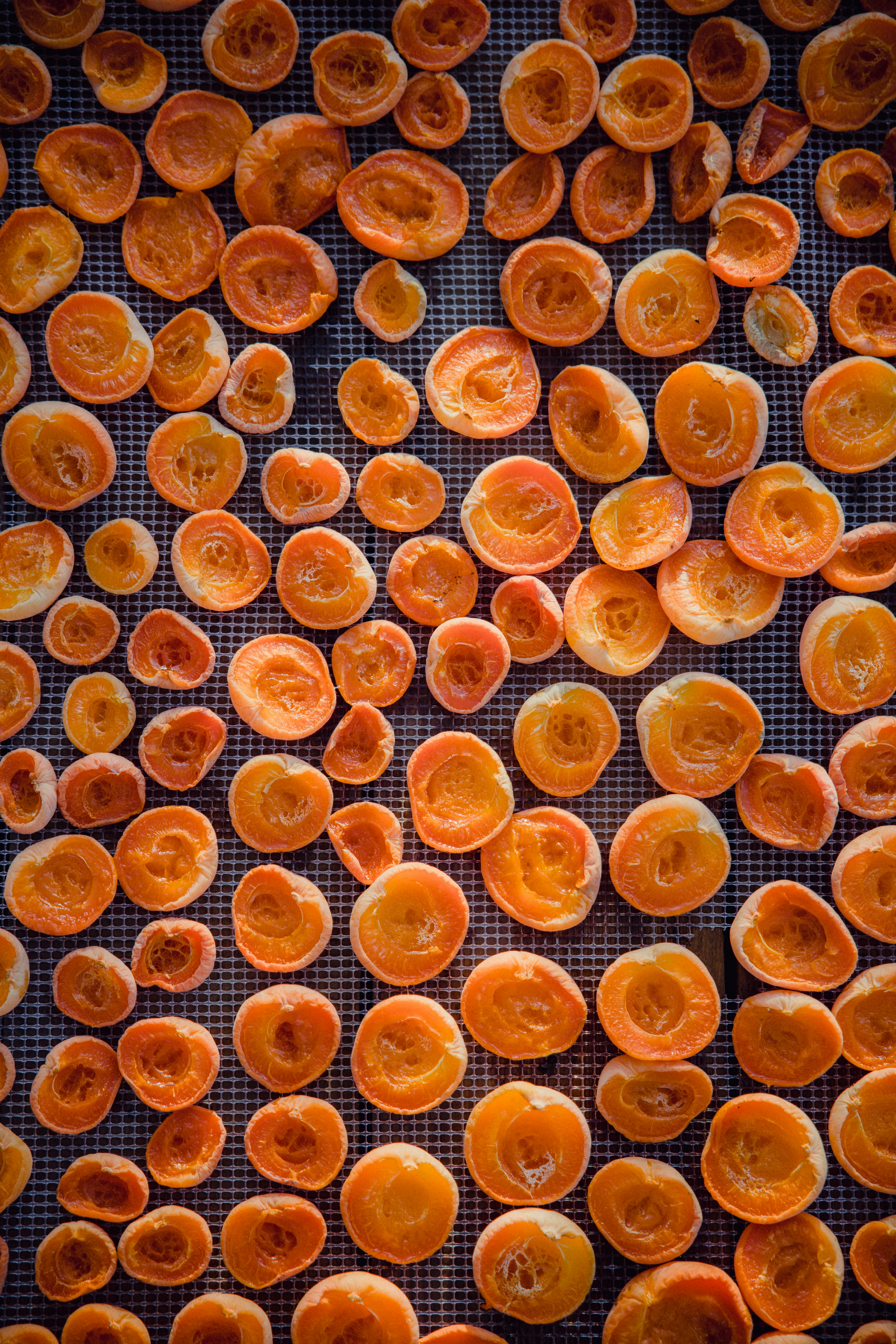 A vibrant array of dried apricot halves arranged on a mesh surface, showcasing their rich orange hues and textures.