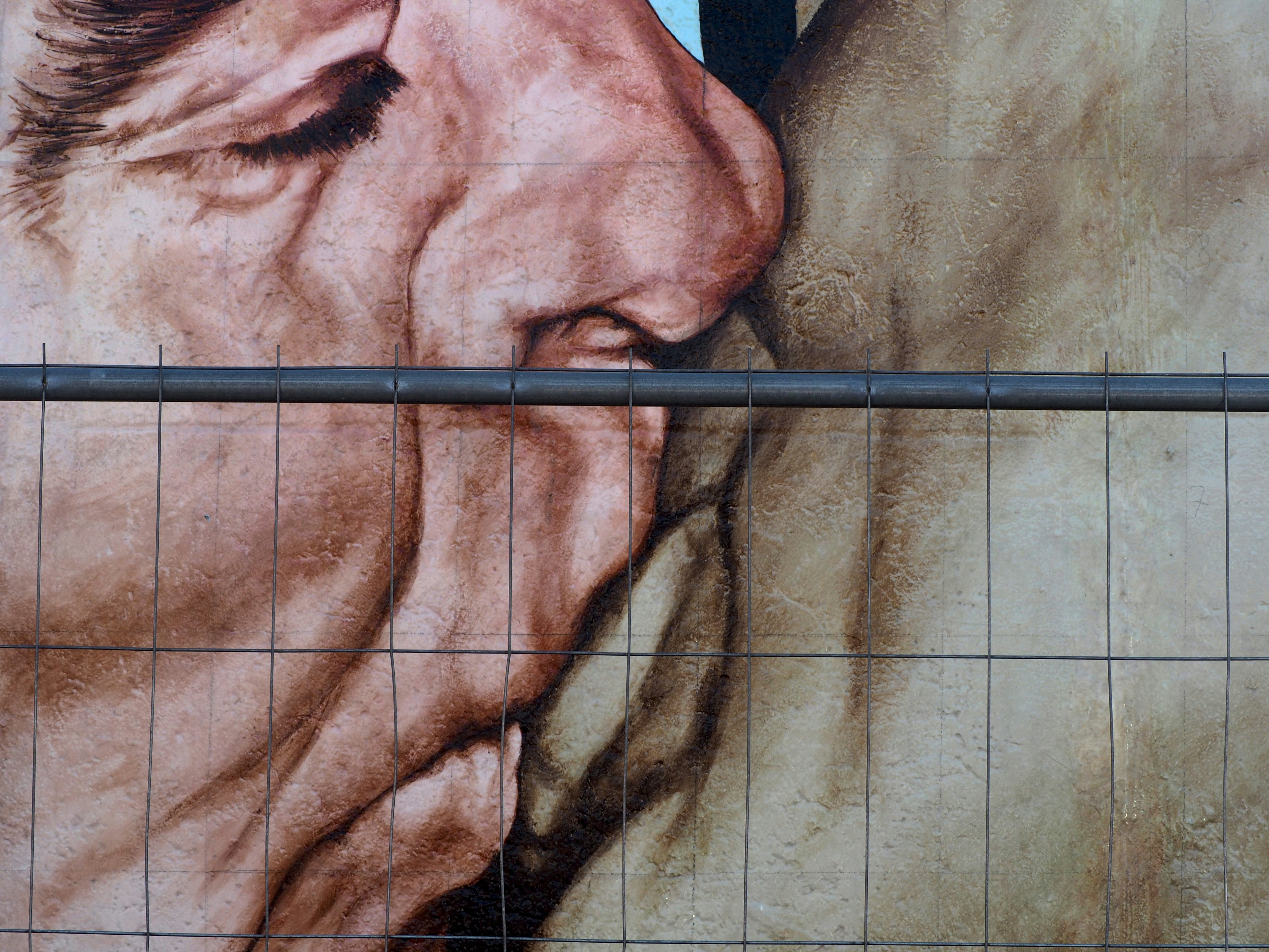 Grit and Gaze: Close-Up of a Weathered Wall Mural Behind a Fence