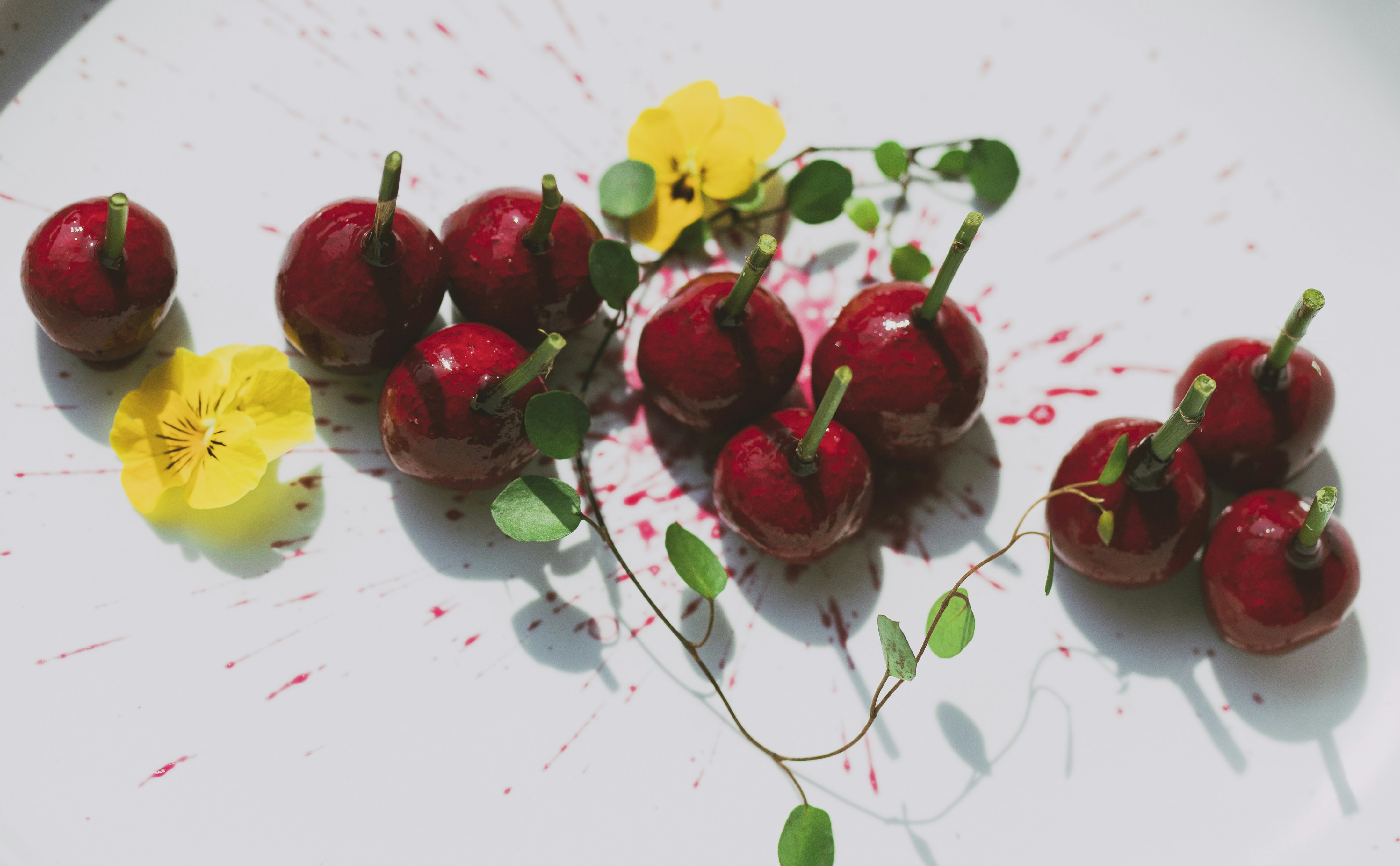 Cherry Parade with Floral Accents on a Bright White Surface