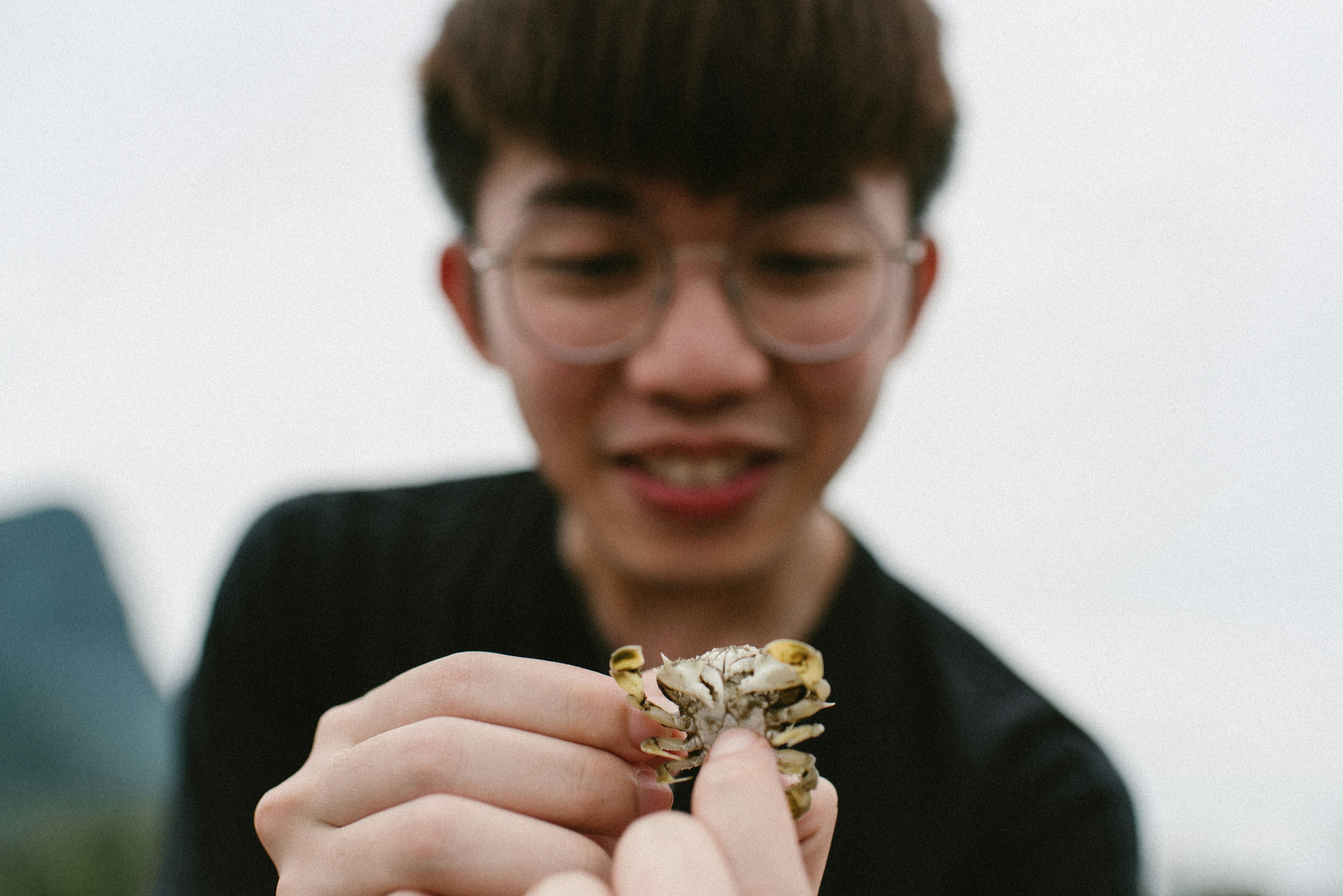Tiny Crustacean, Gentle Blur: A Quiet Coastal Moment