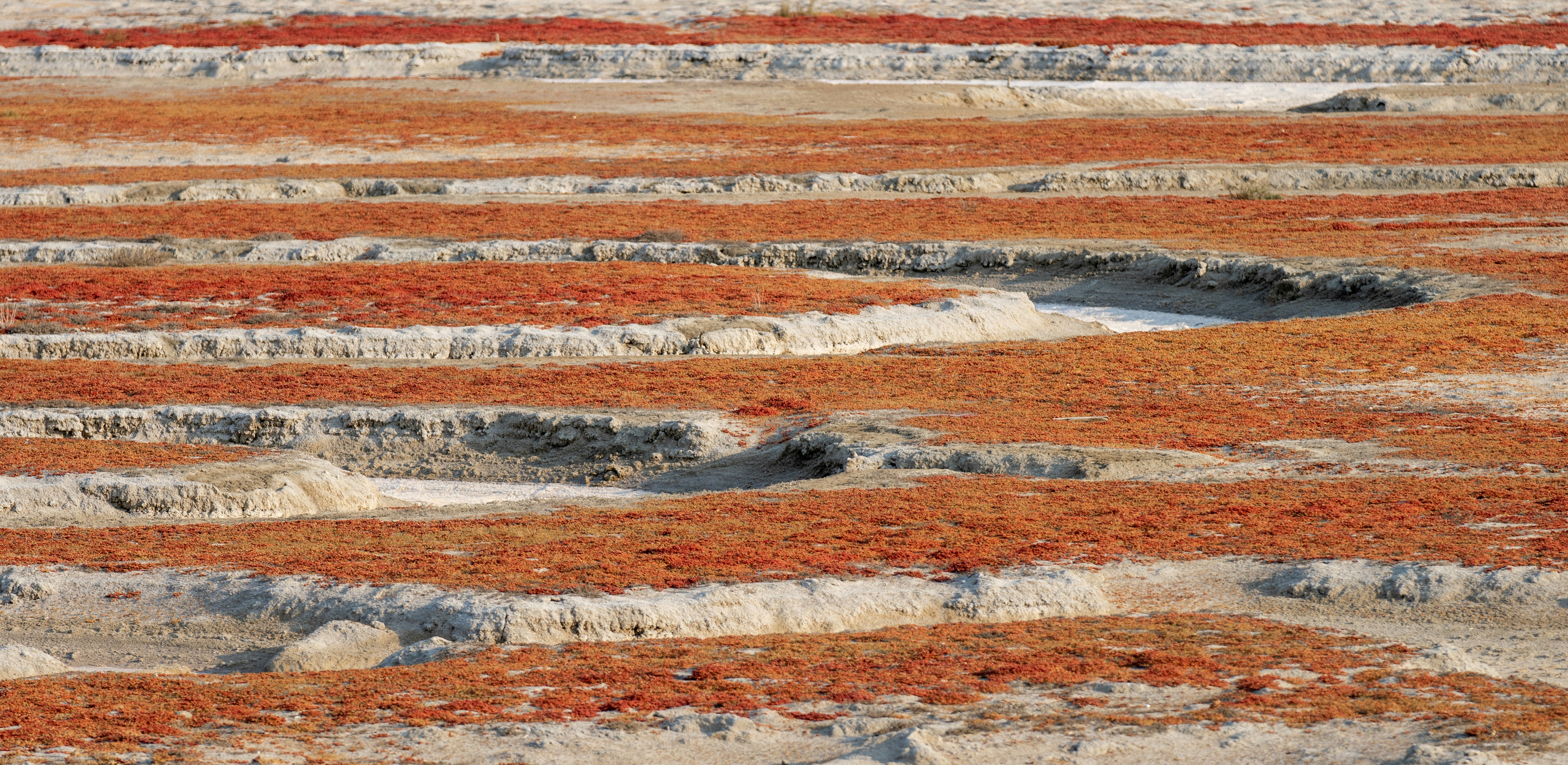 Terraced Echoes: Orange Mineral Ribbons Across a Thermal Staircase
