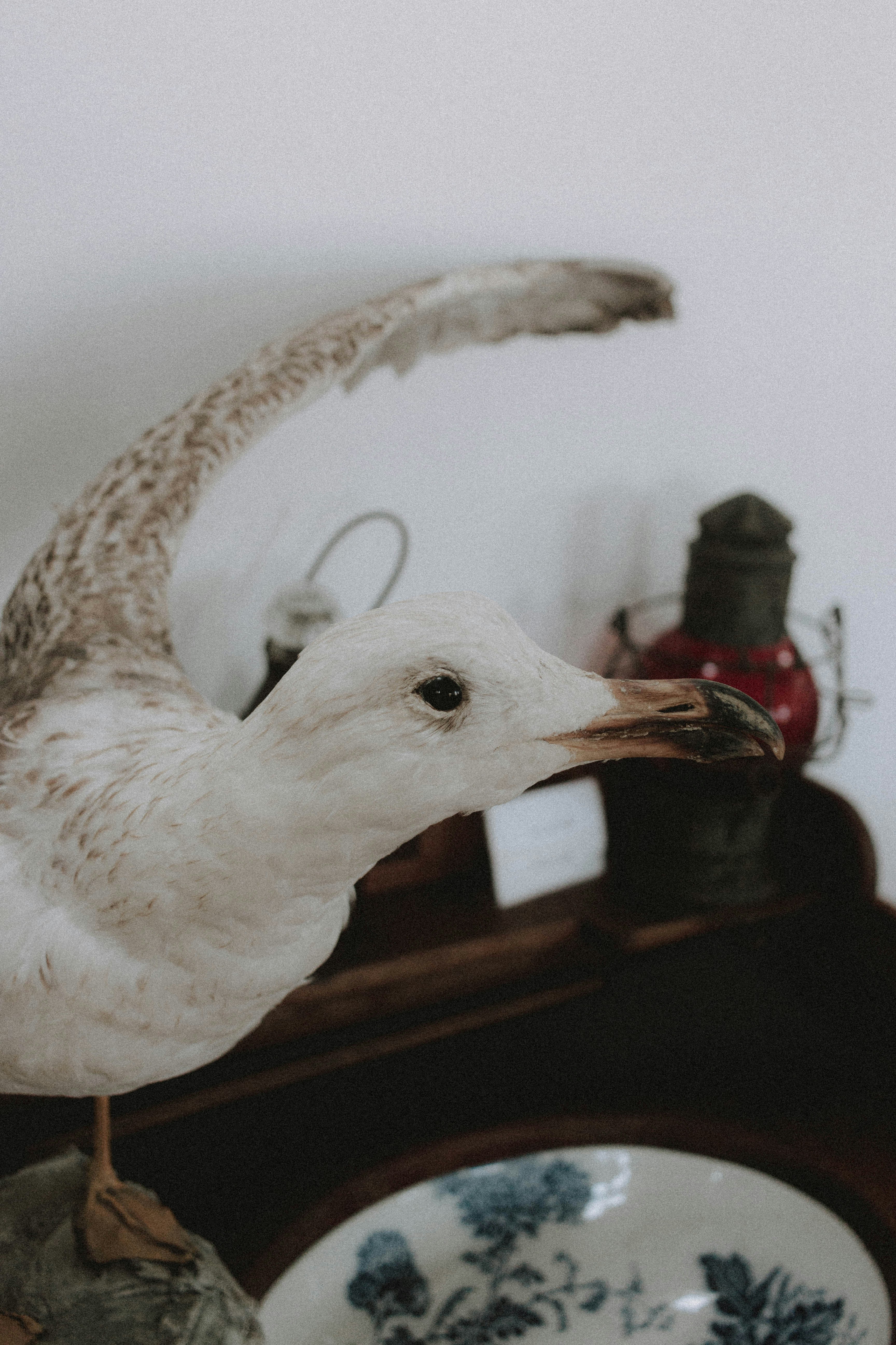 A meticulously crafted model of a seagull poised gracefully, surrounded by vintage decor elements. The intricate details highlight the artistry involved in its creation.