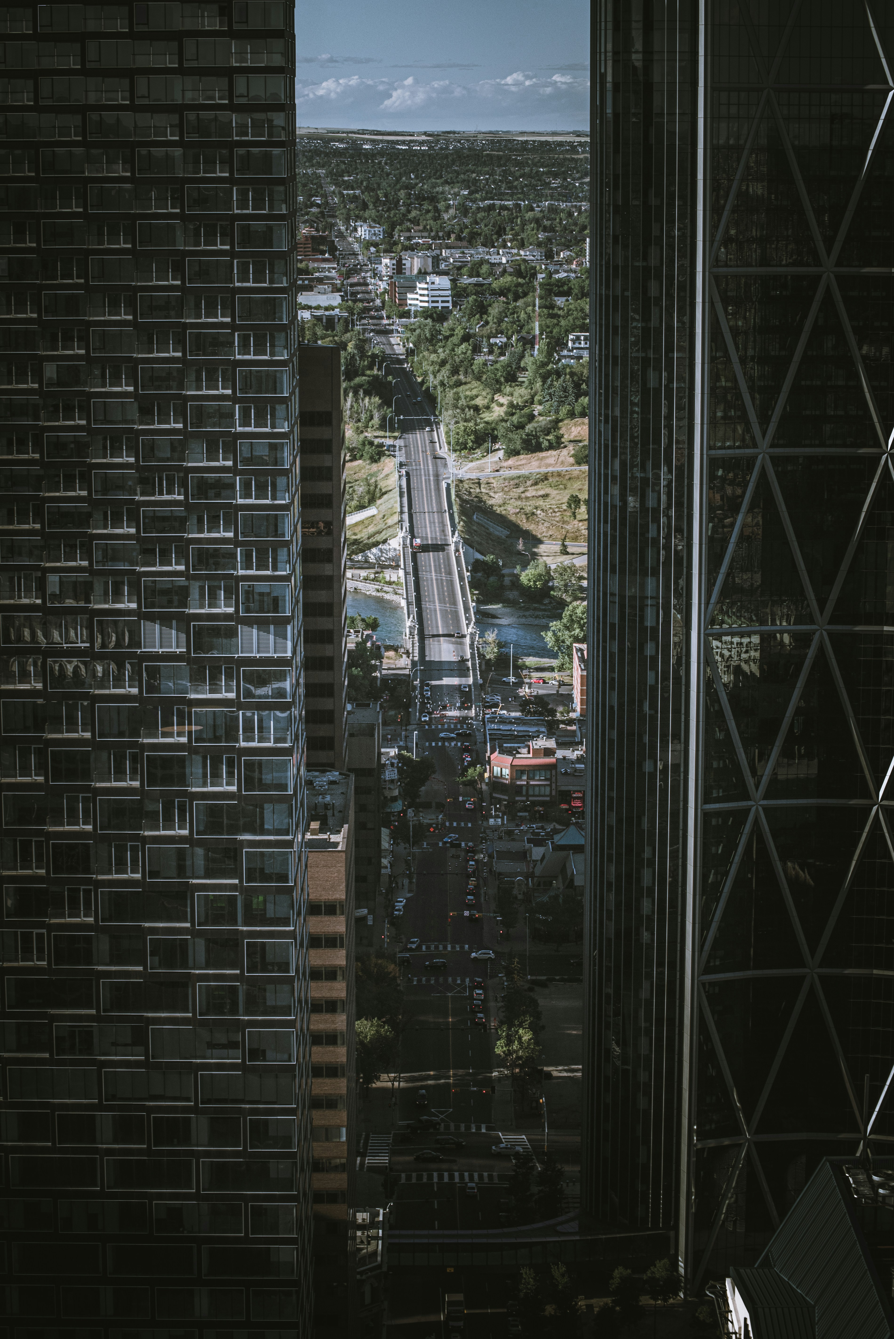 Aerial view of a city street framed by towering buildings, showcasing the interplay of urban architecture and nature. The road leads to a distant bridge over a river.