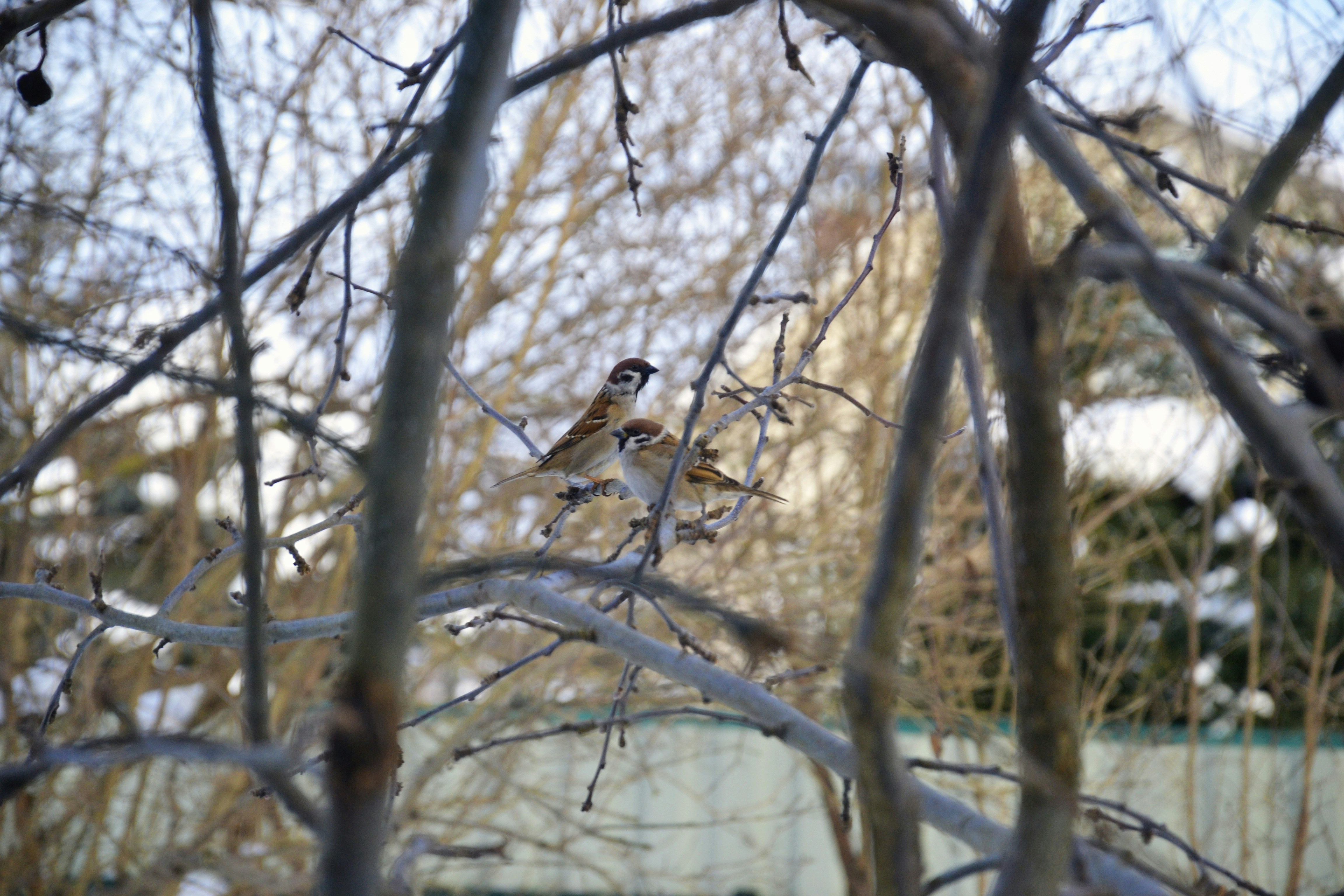 Photo by Ksenia Vasileva with Nikon D3100