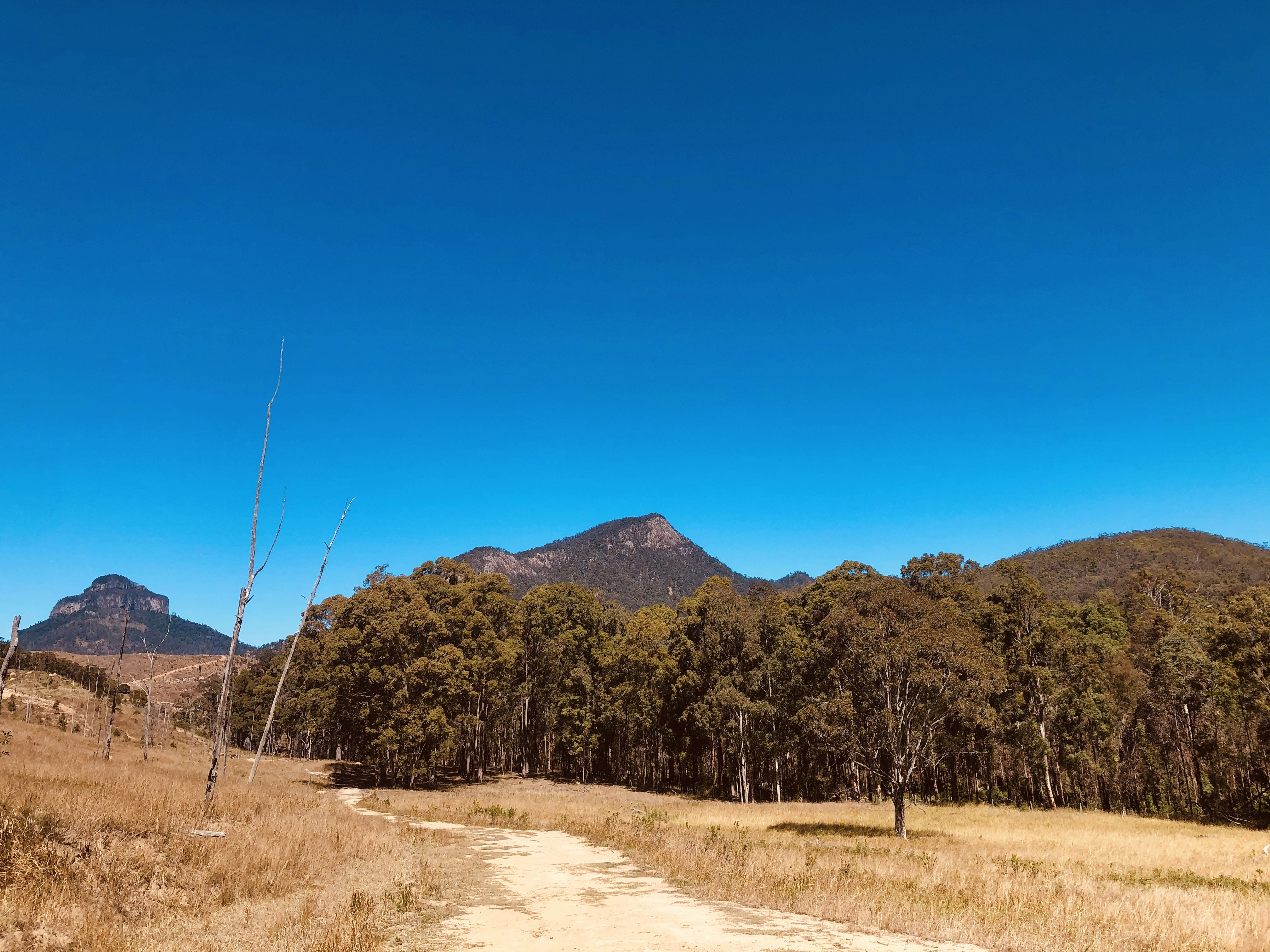 Dirt road leading through dry grassland to a distant mountain range under a vibrant blue sky.