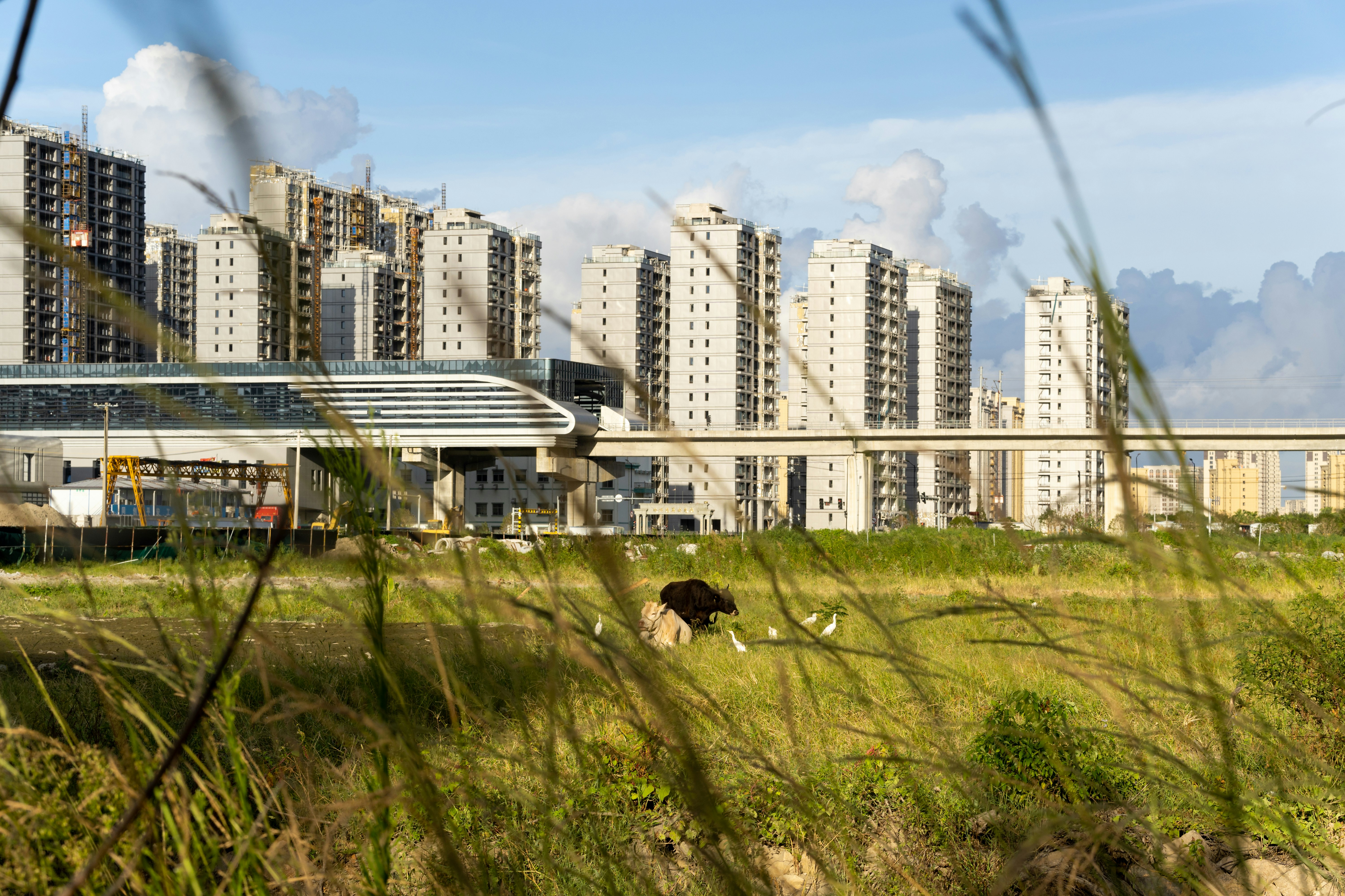 White high rise building near green grass field during daytime photo ...