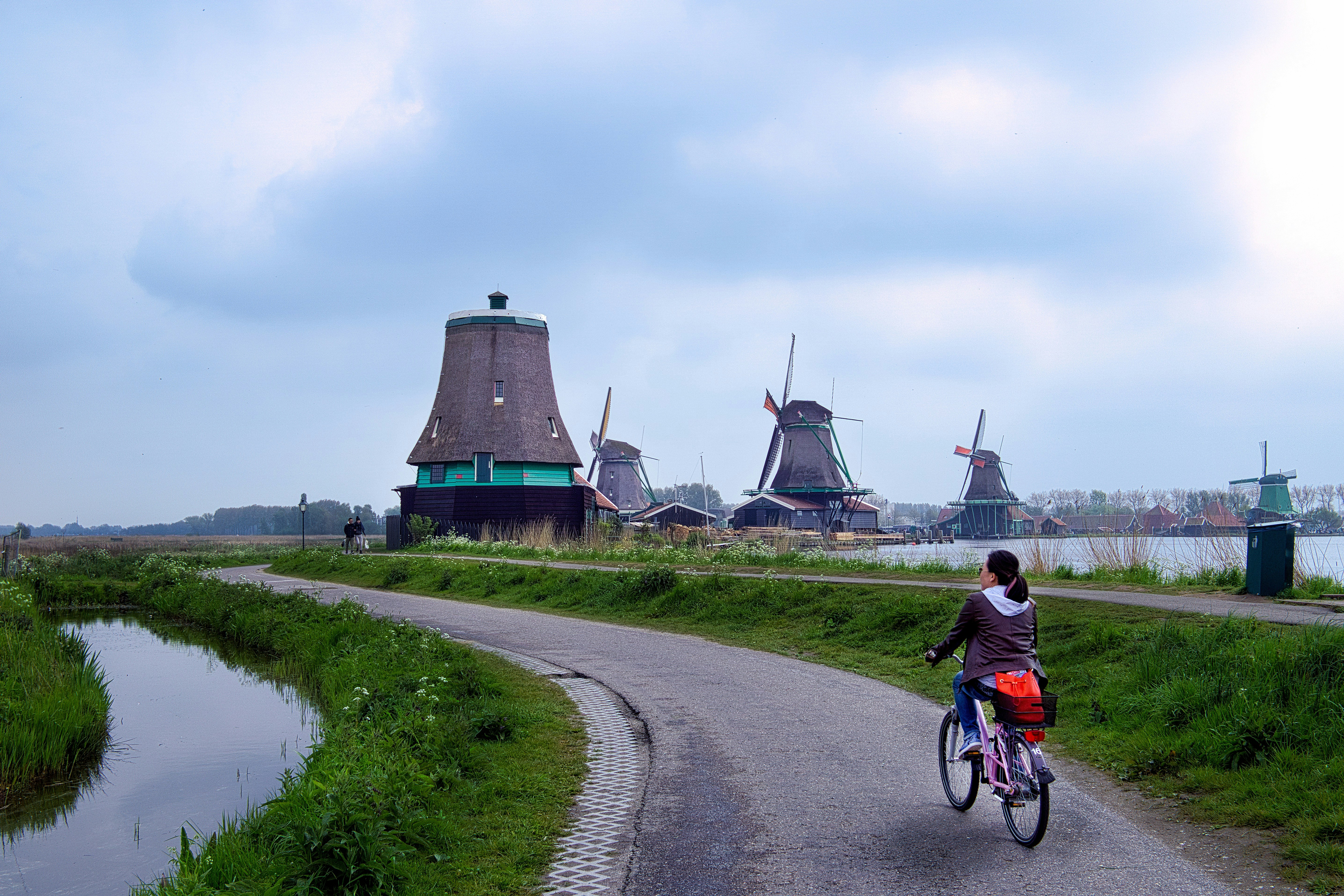 A cyclist rides along a winding path beside traditional windmills, showcasing a blend of nature and heritage in a serene landscape.