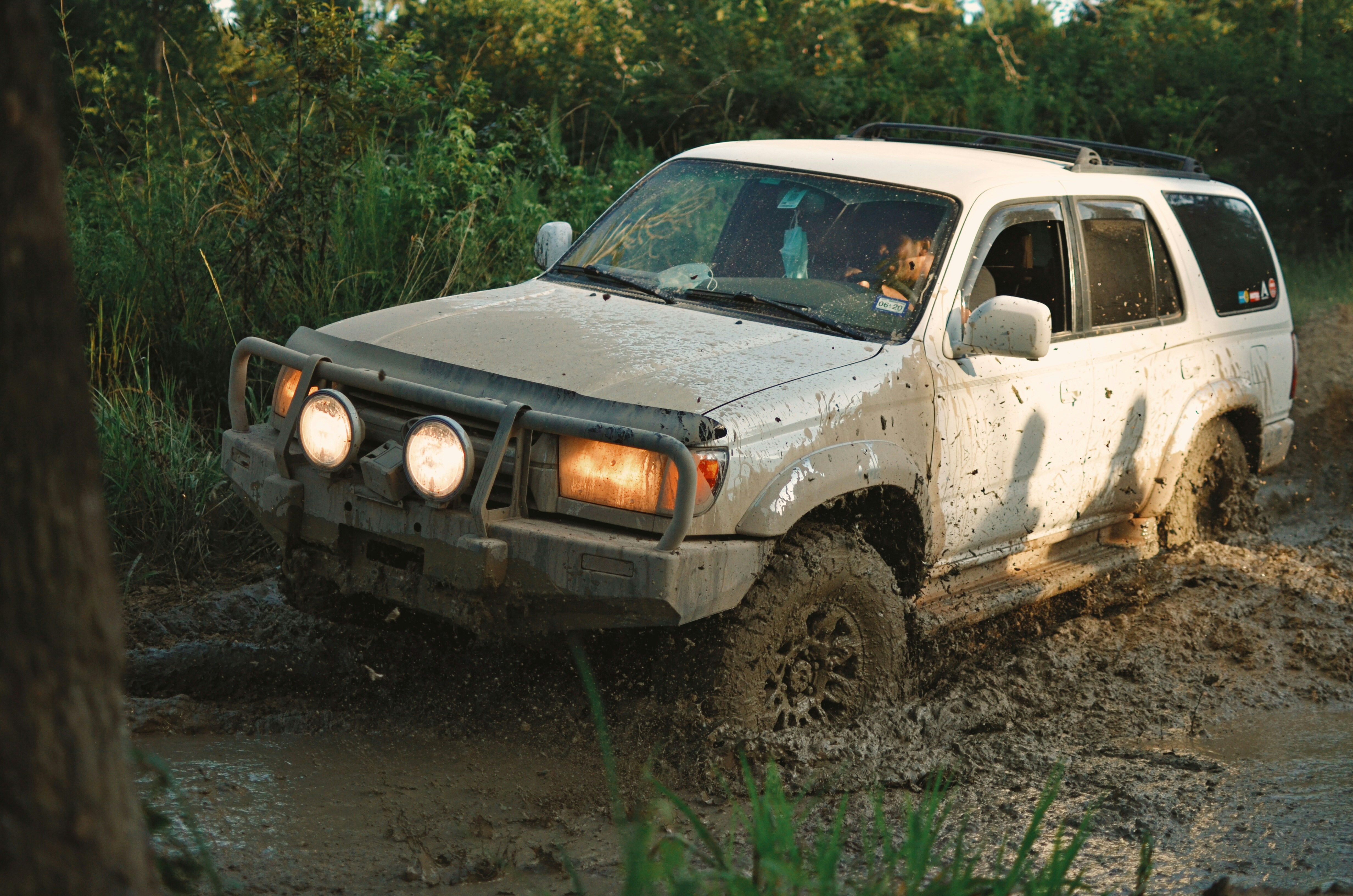 Mud-Slick Ascent: White SUV Conquers a Swampy Forest Trail