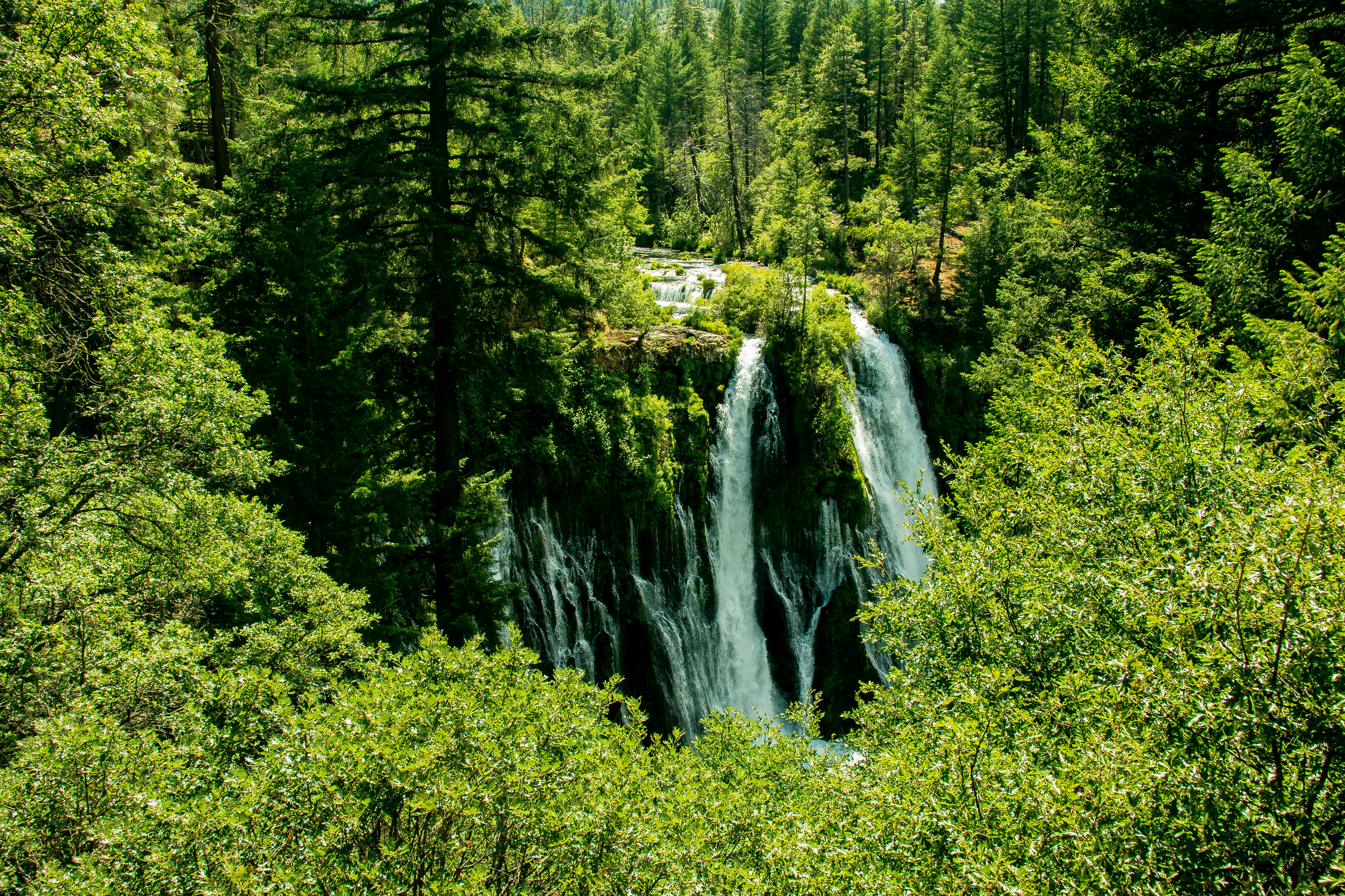 Green trees near waterfalls during daytime photo – Free Burney falls ...