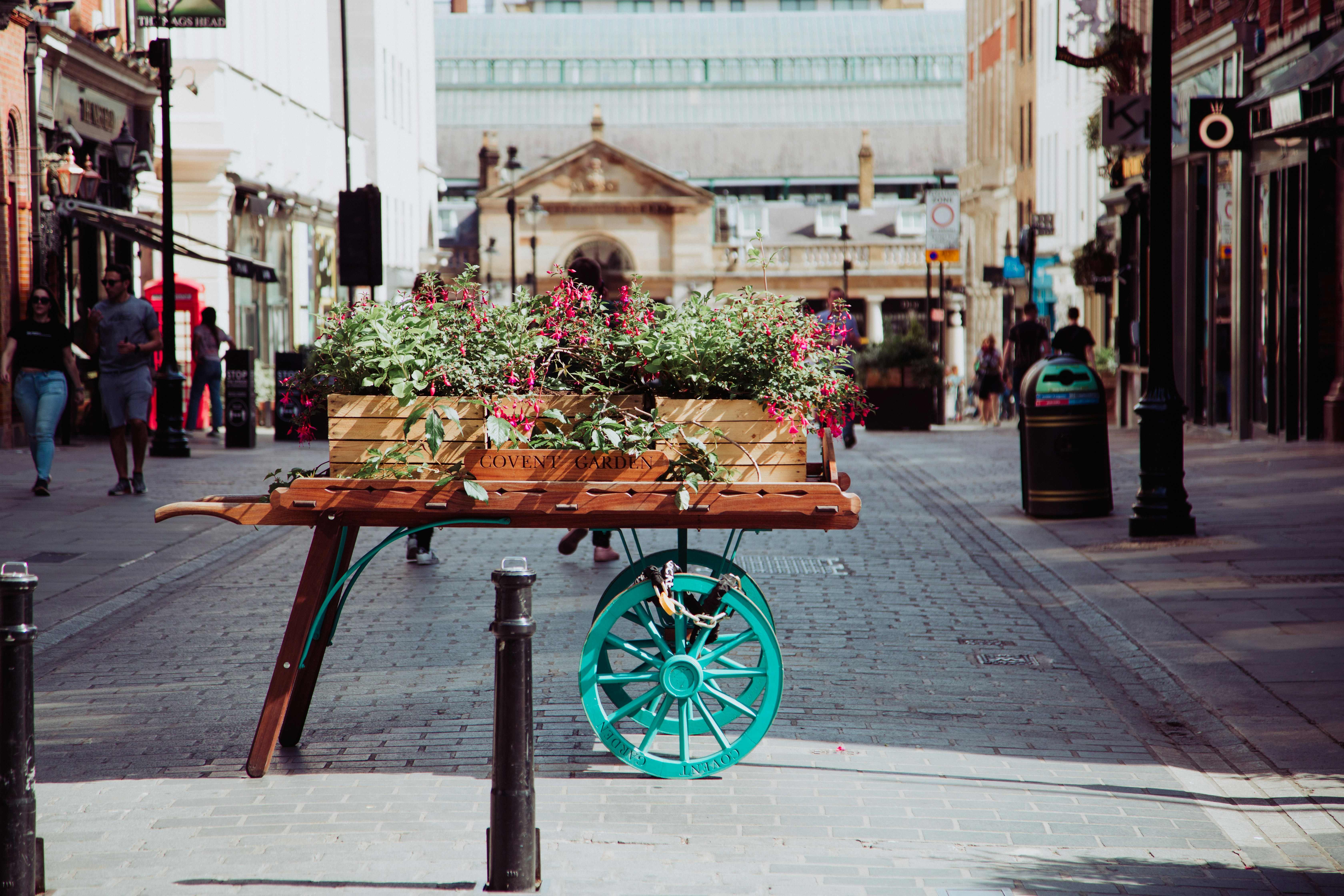 Street Cart Garden: A Quiet Corridor of Flowered Wheels