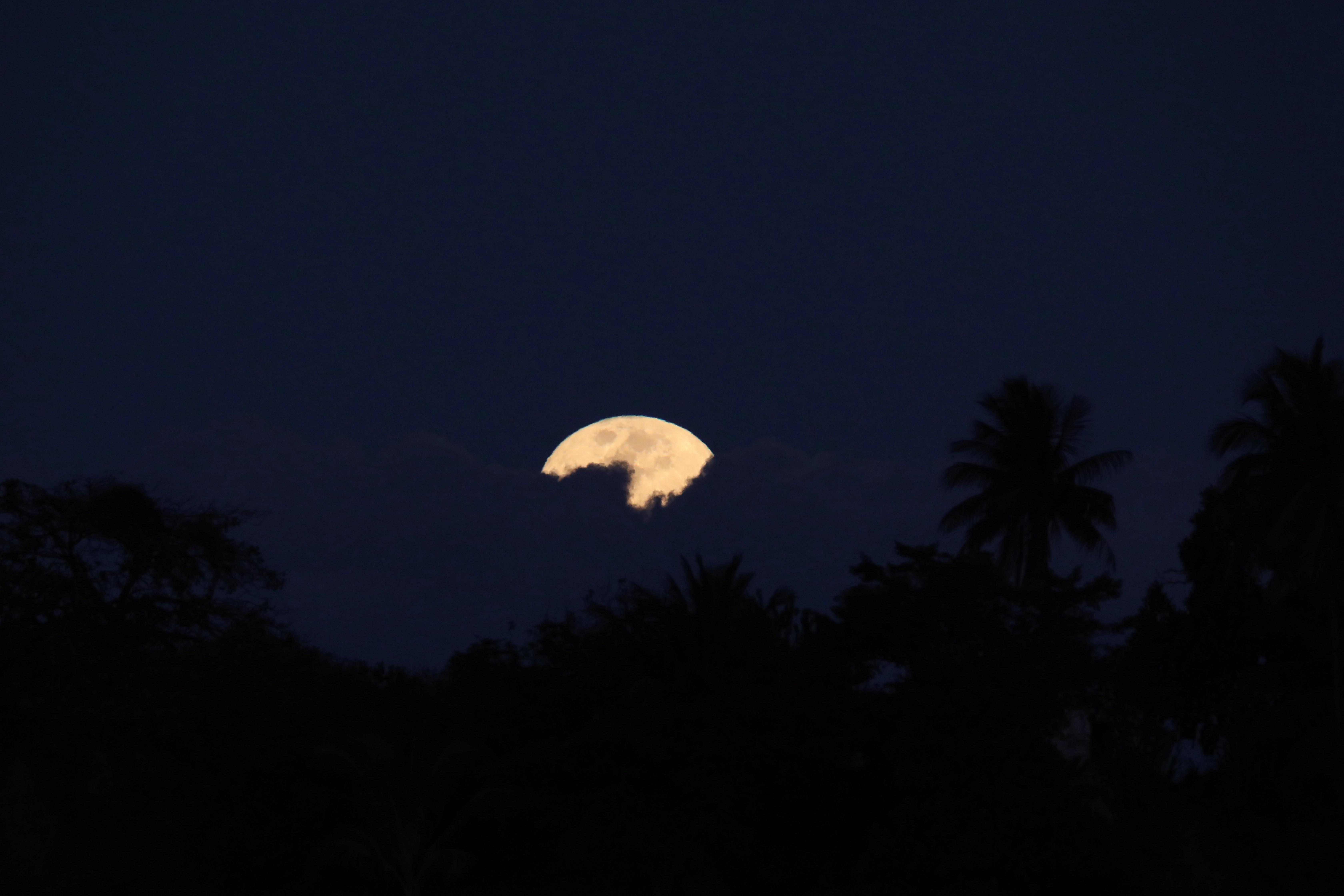 Luna Peeking Over Quiet Horizon