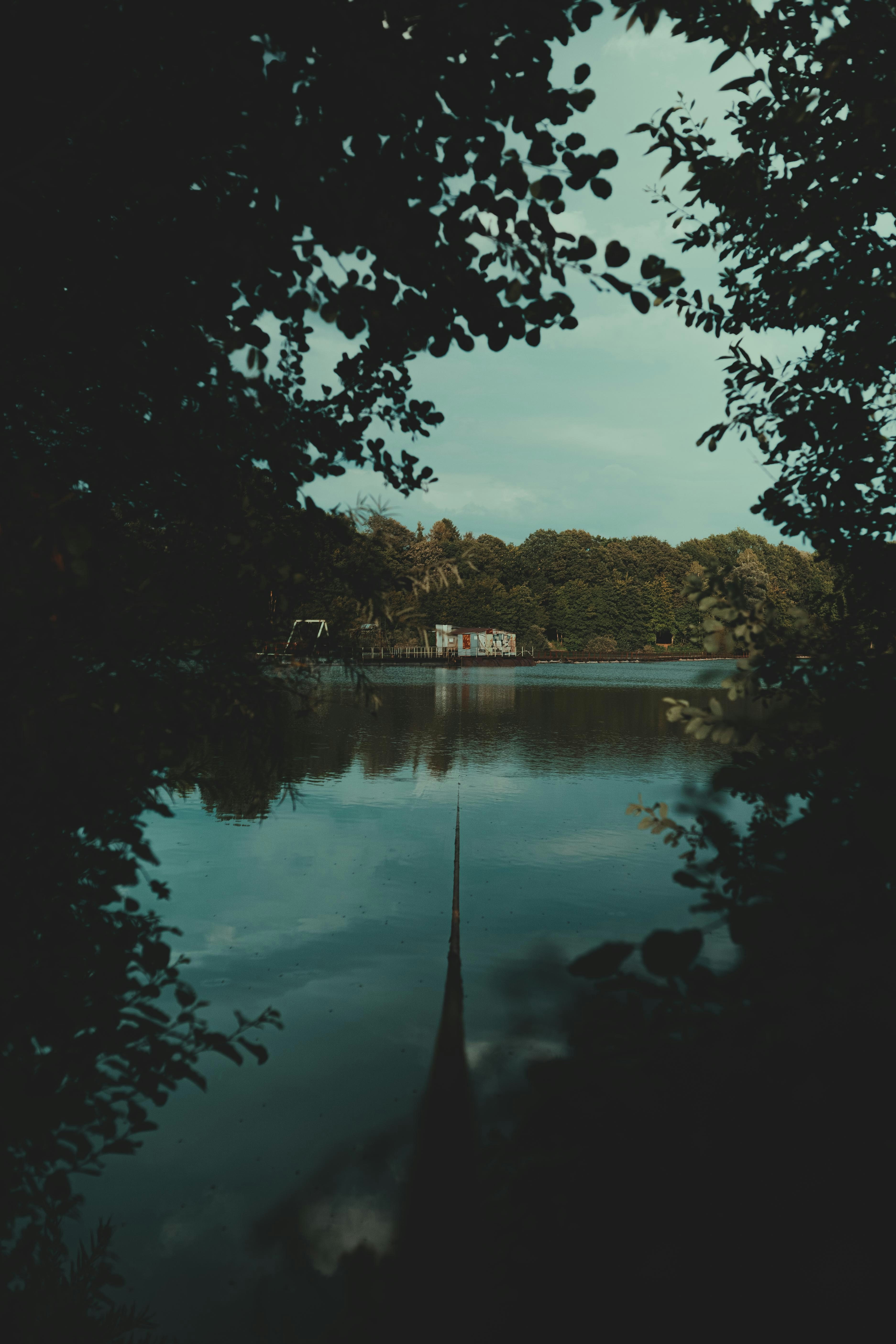 Lakeside view framed by dense foliage, reflecting a serene sky and distant trees.