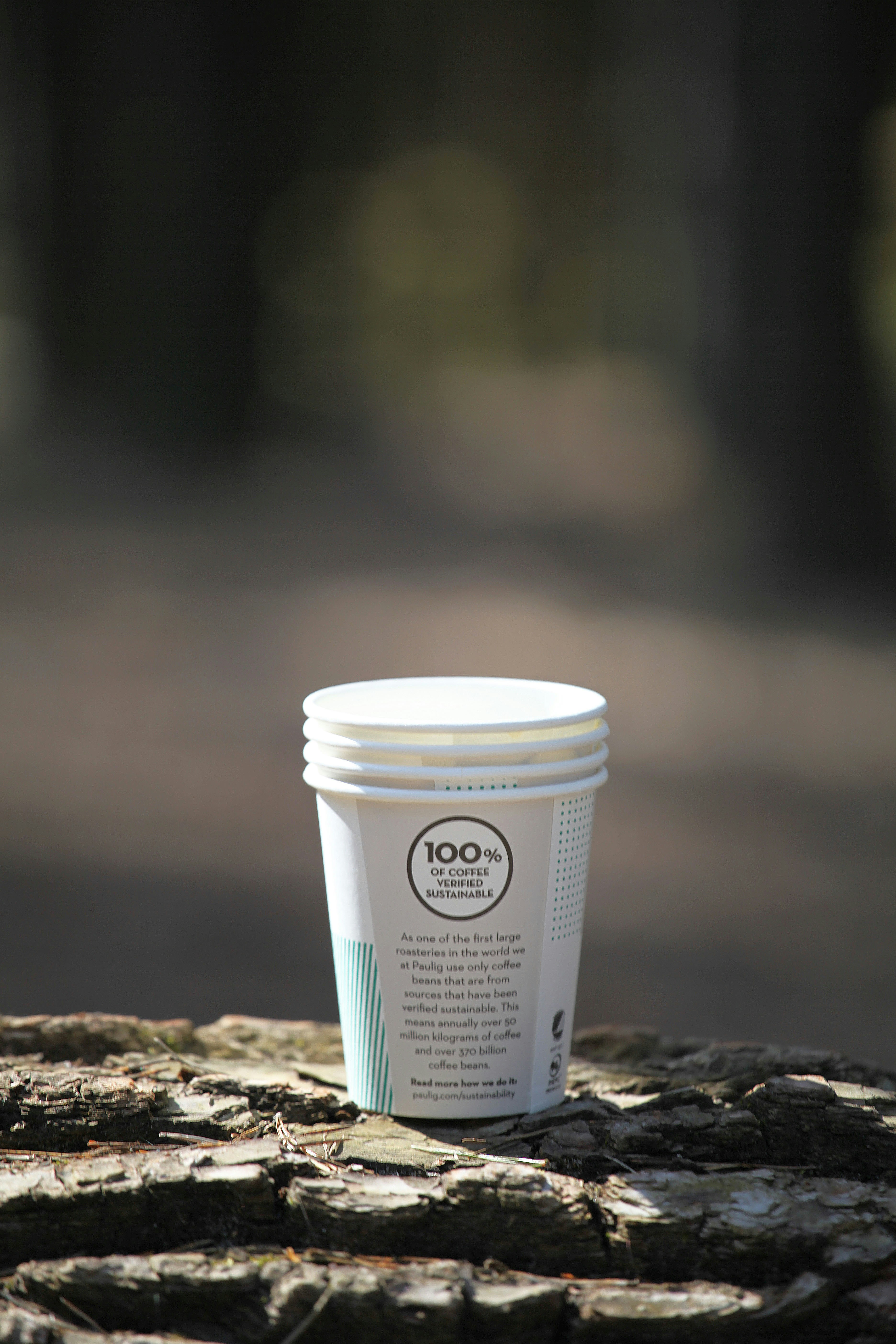 white plastic cup on brown rock