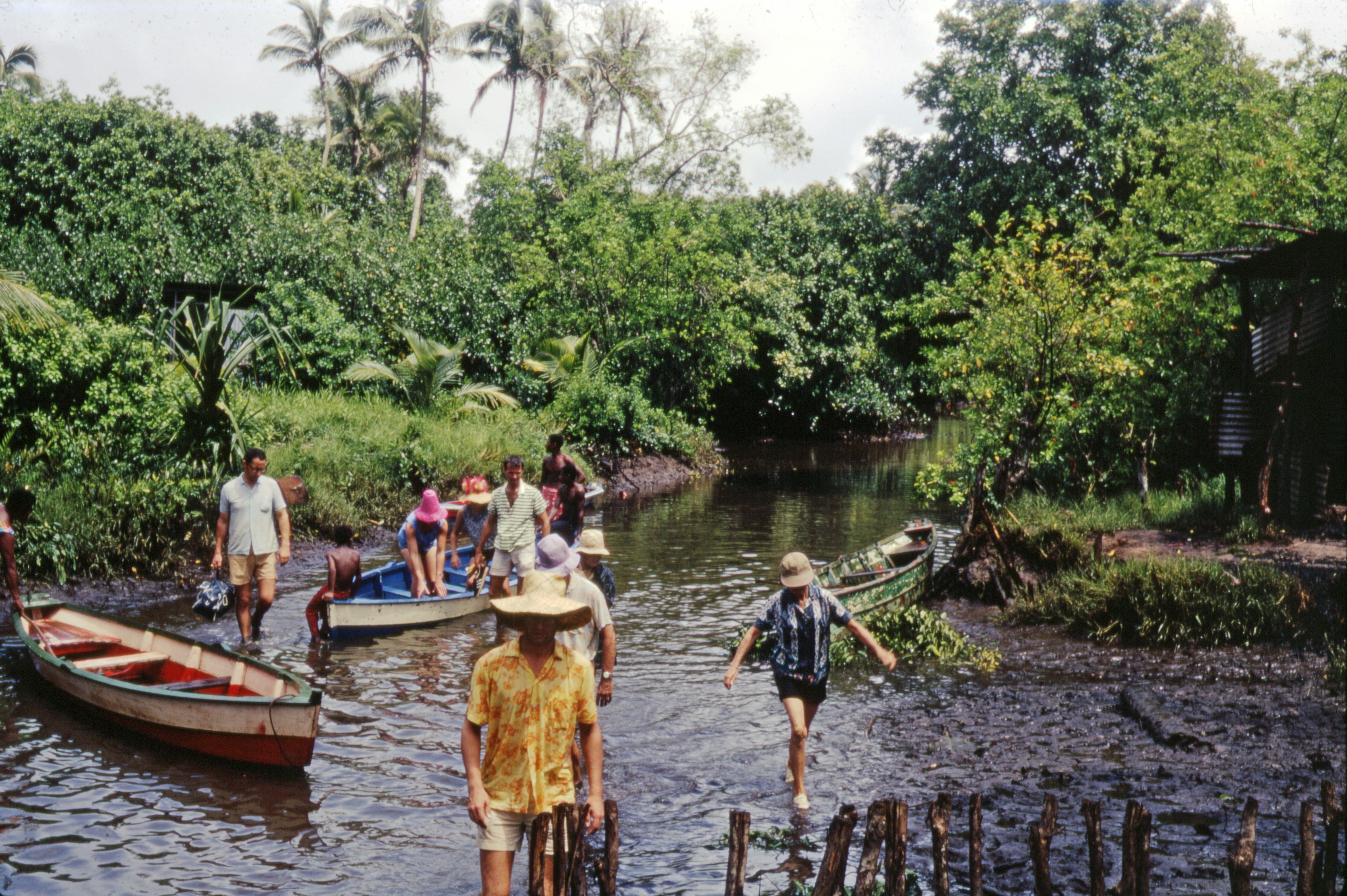 5 Indigenous Traditions Shaping Cultural Experiences in Suriname ...