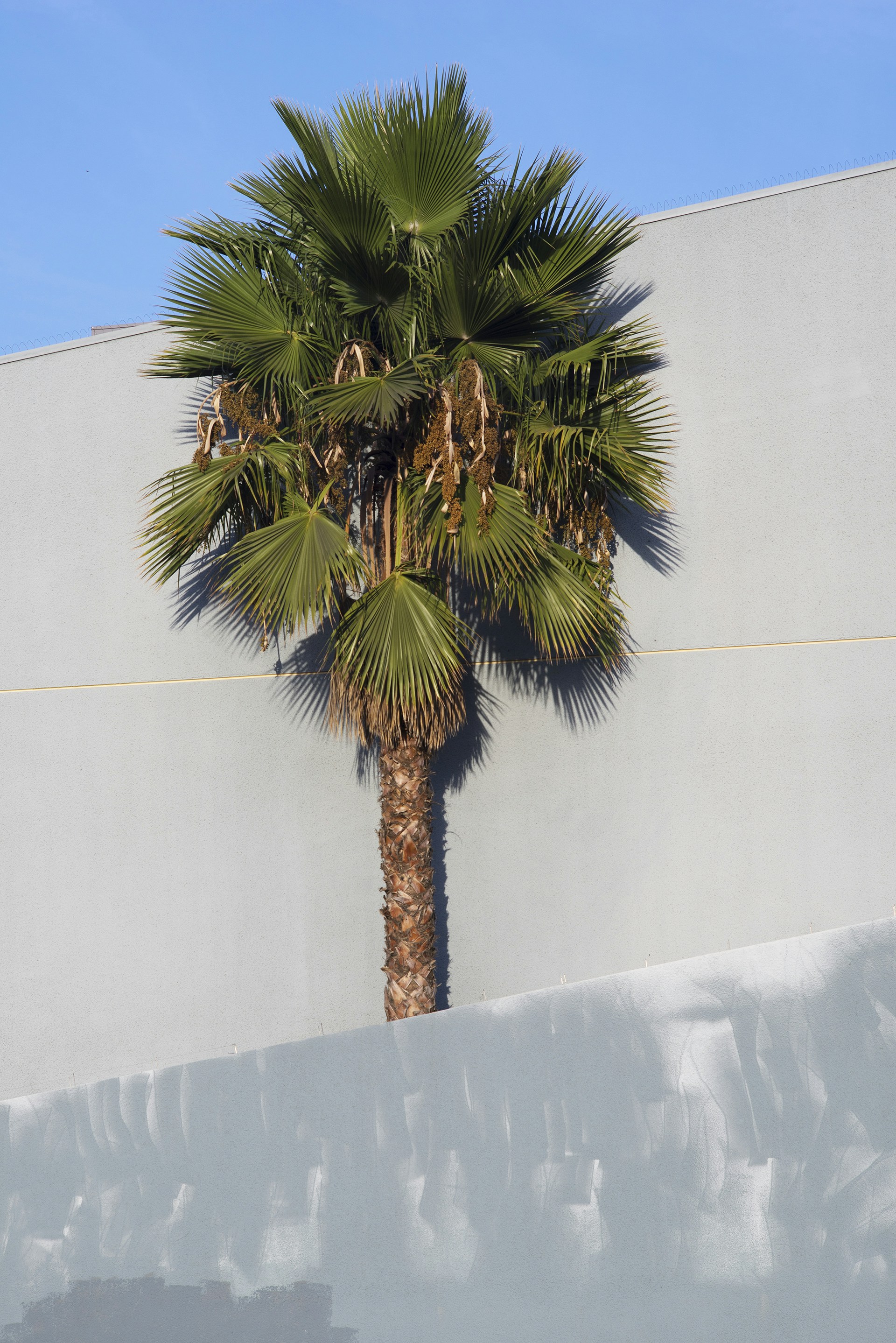 jonathan Valerius (@jonathanvaleriusphotography) | Unsplash Photo Community