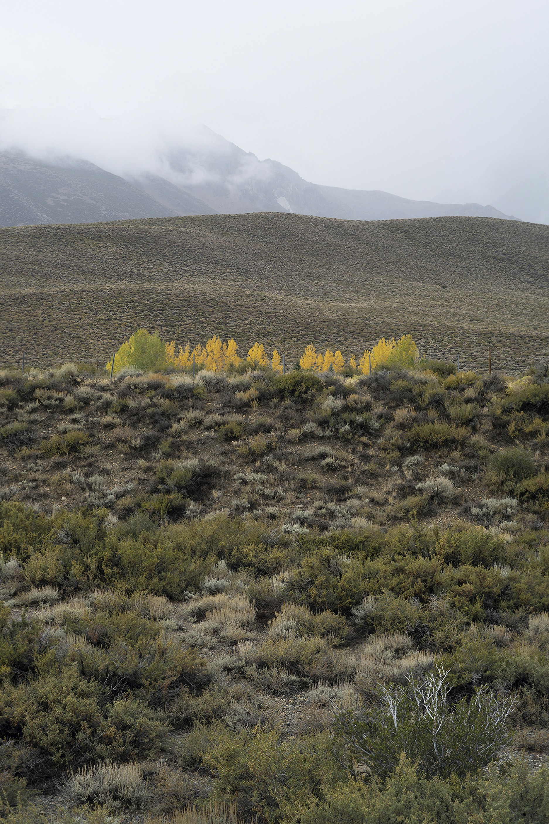 jonathan Valerius (@jonathanvaleriusphotography) | Unsplash Photo Community