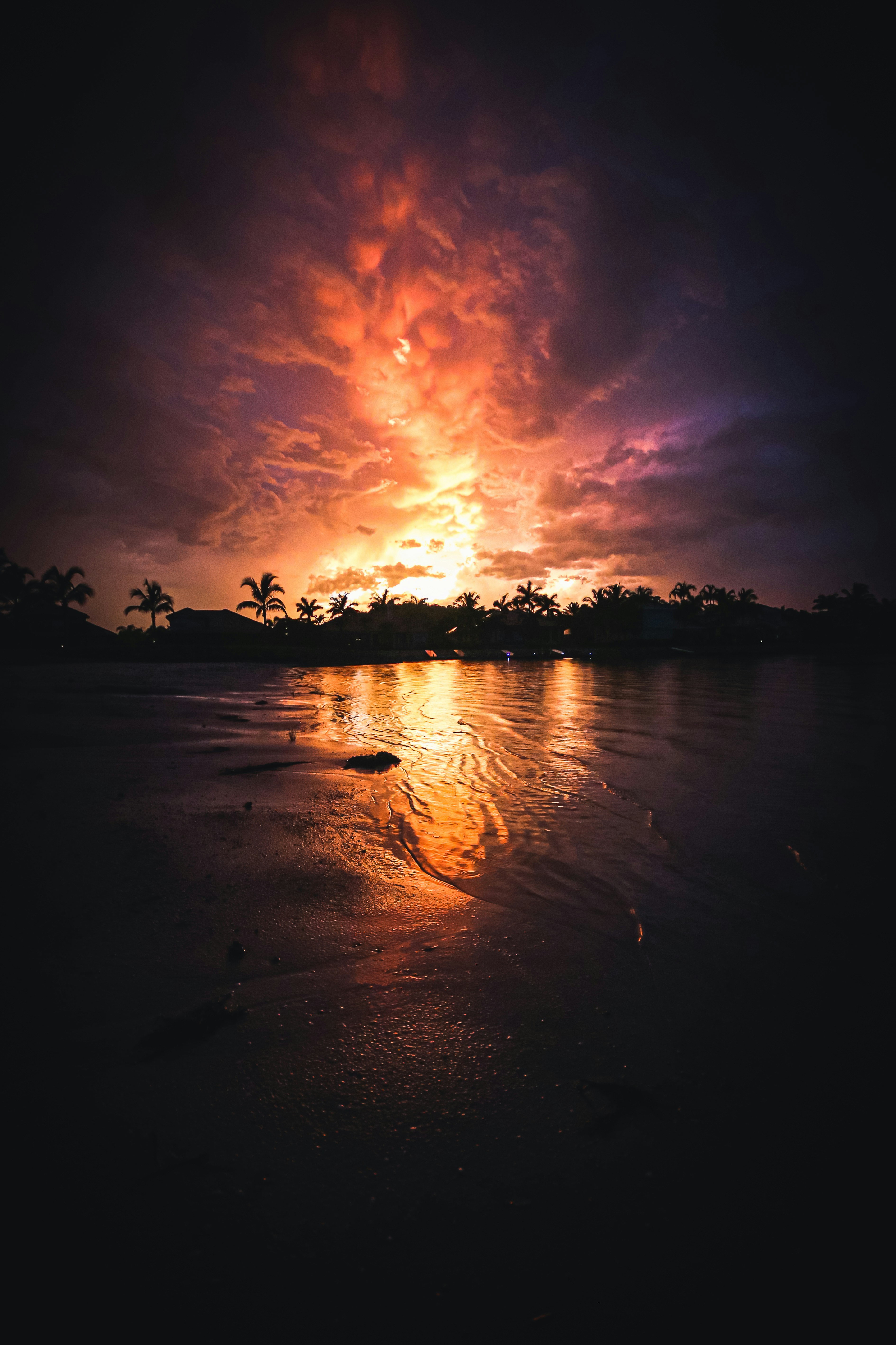 Molten Horizon: Palm Silhouettes and Tidal Fire