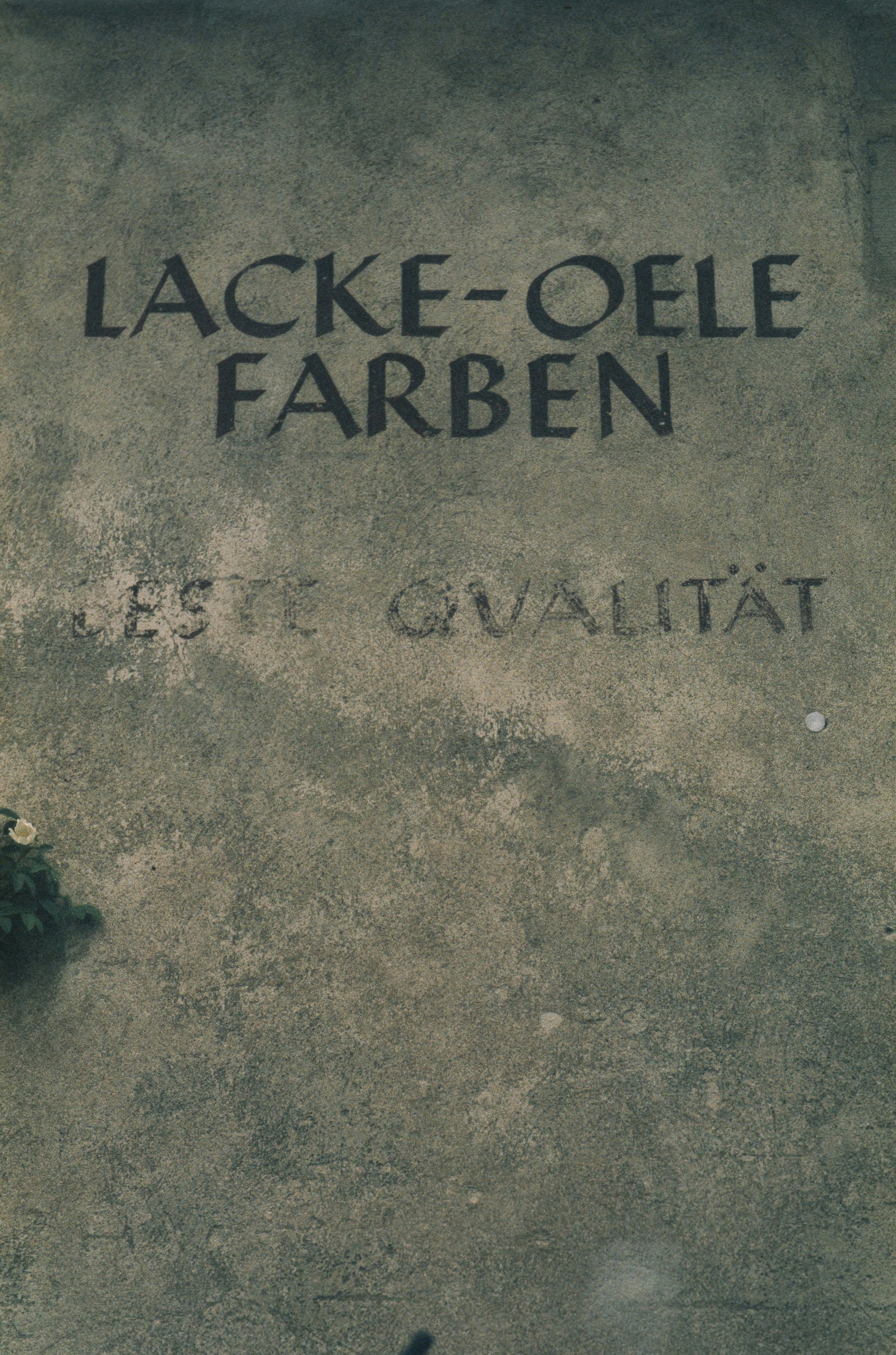 Weathered Sign on a Moss-Cplastered Wall: Lacke-Oele Farben