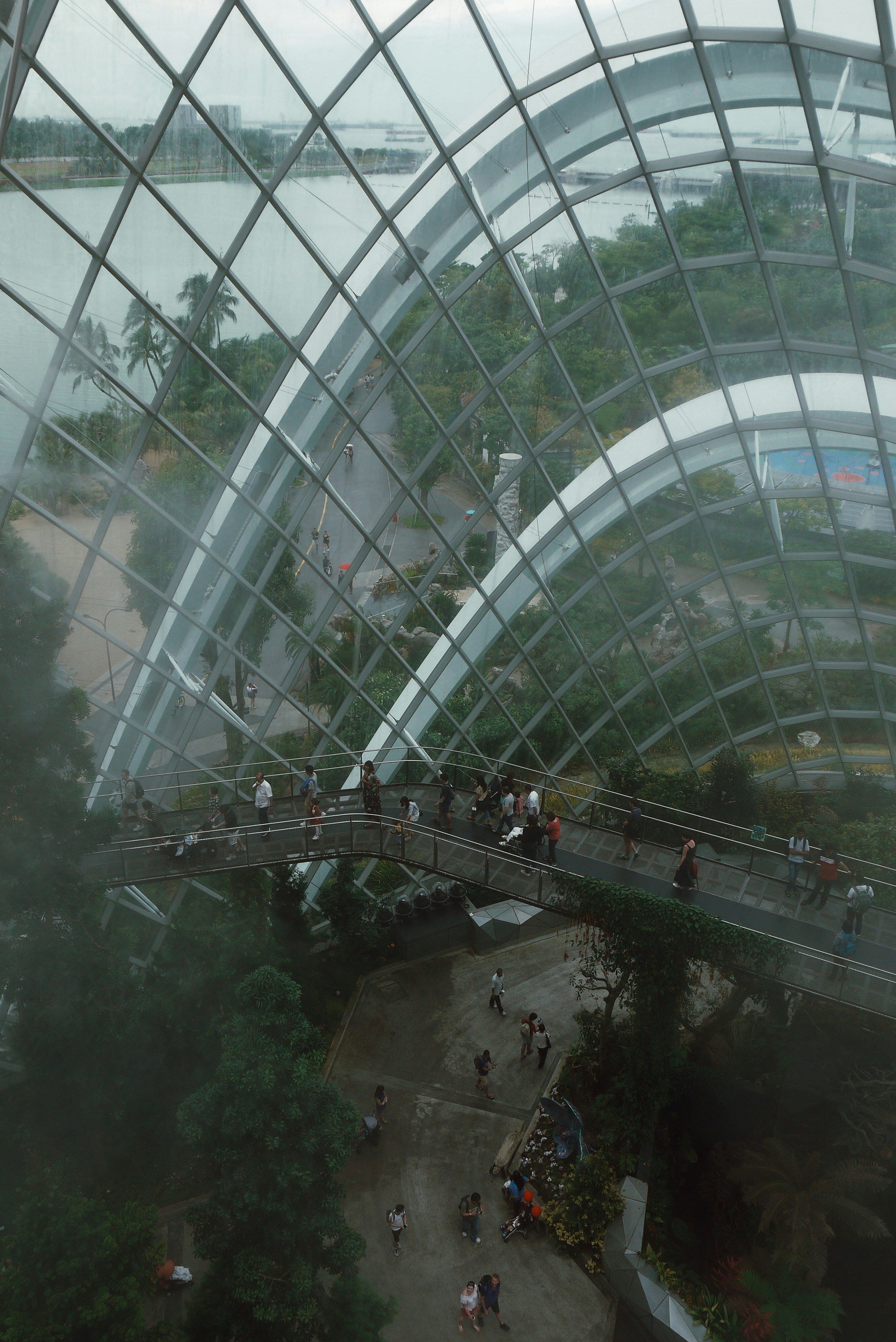 Crossing the Glass Veil: A Suspended Walkway in an Arched Atrium