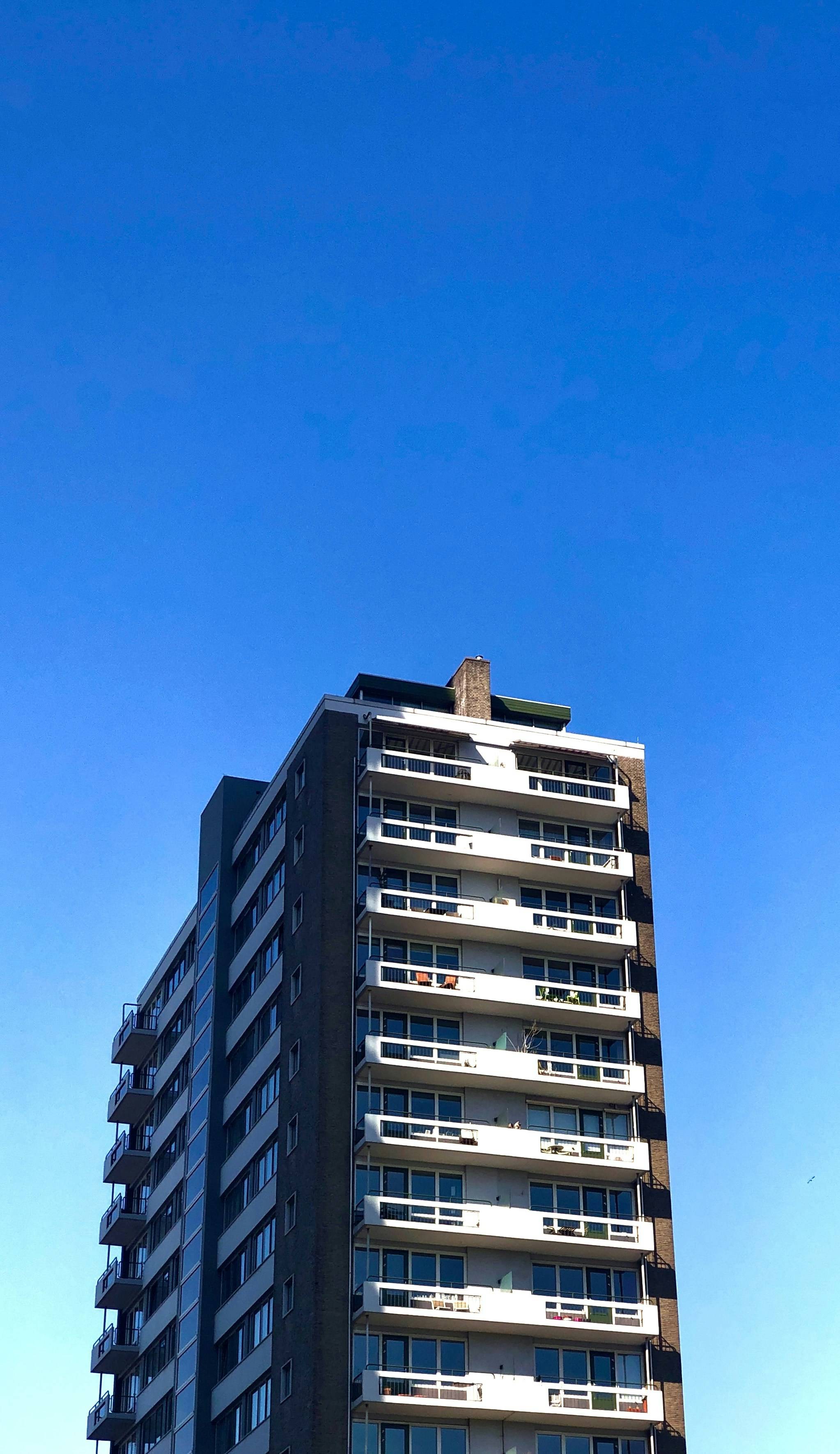 Edificio de hormigón blanco y marrón bajo el cielo azul durante el día foto – Imagen de Azul ...