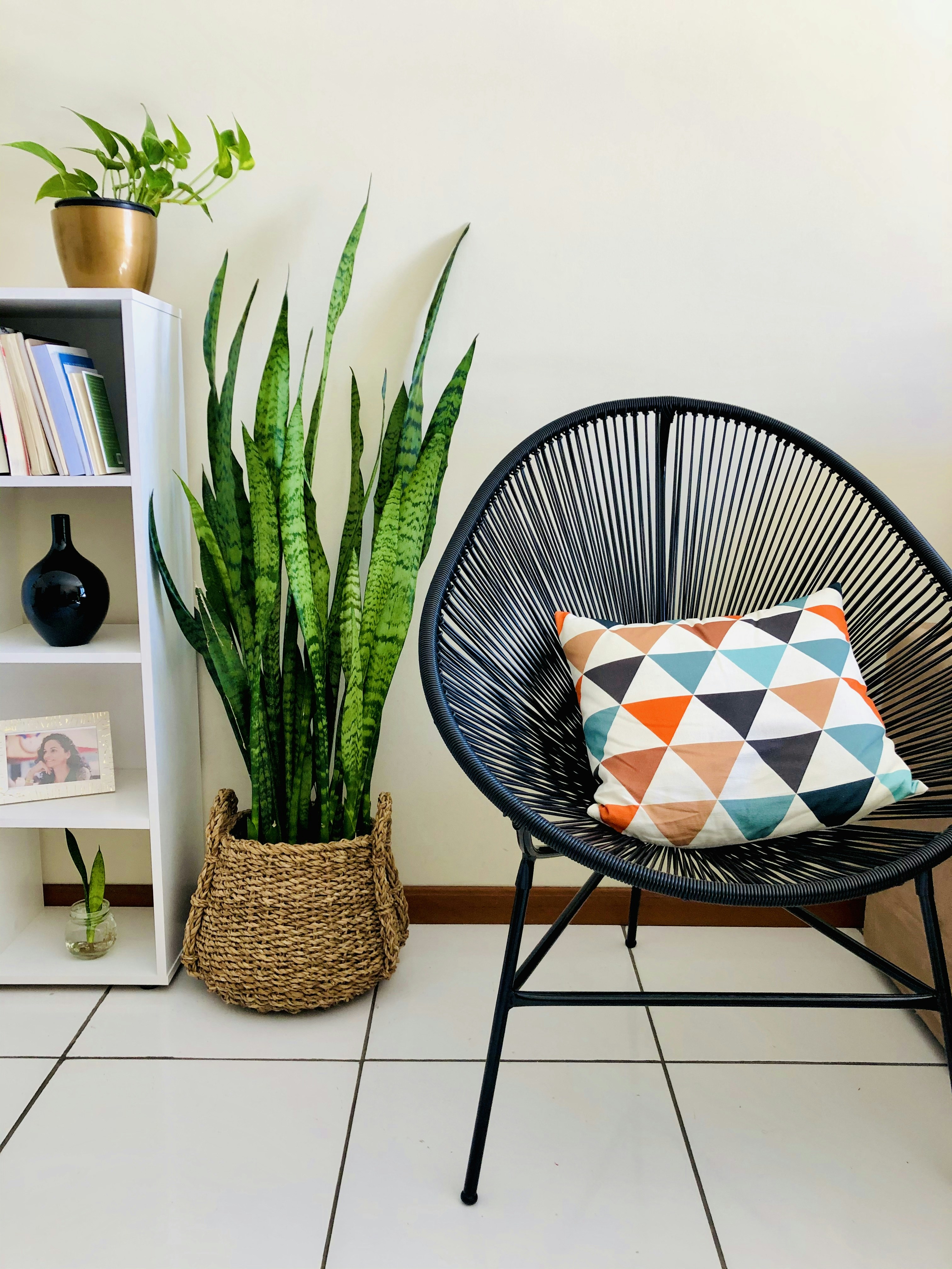 Stylish black chair adorned with a geometric pillow, surrounded by lush greenery and a modern bookshelf. Ideal for a serene reading nook.