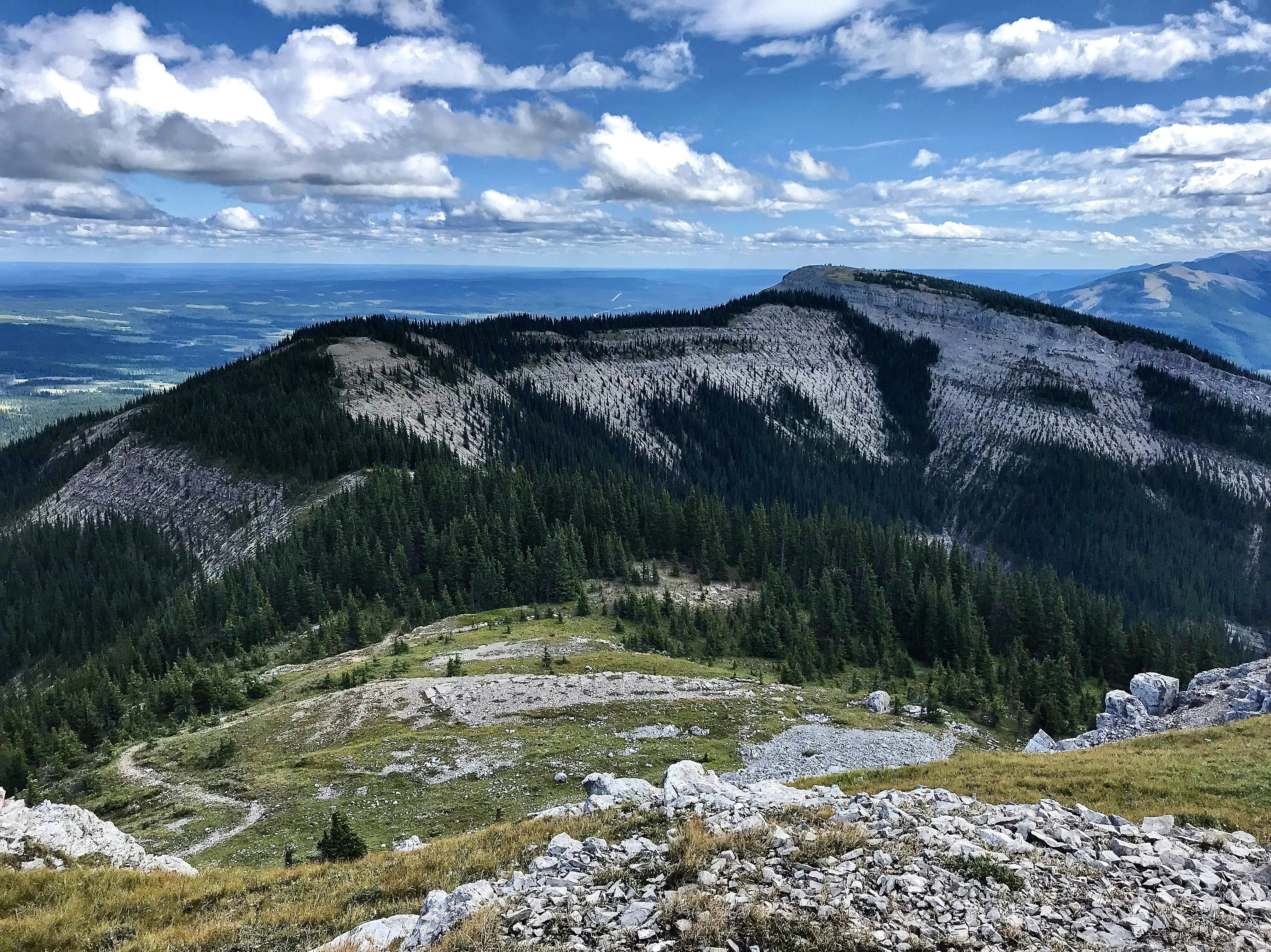green trees on mountain under blue sky during daytime
