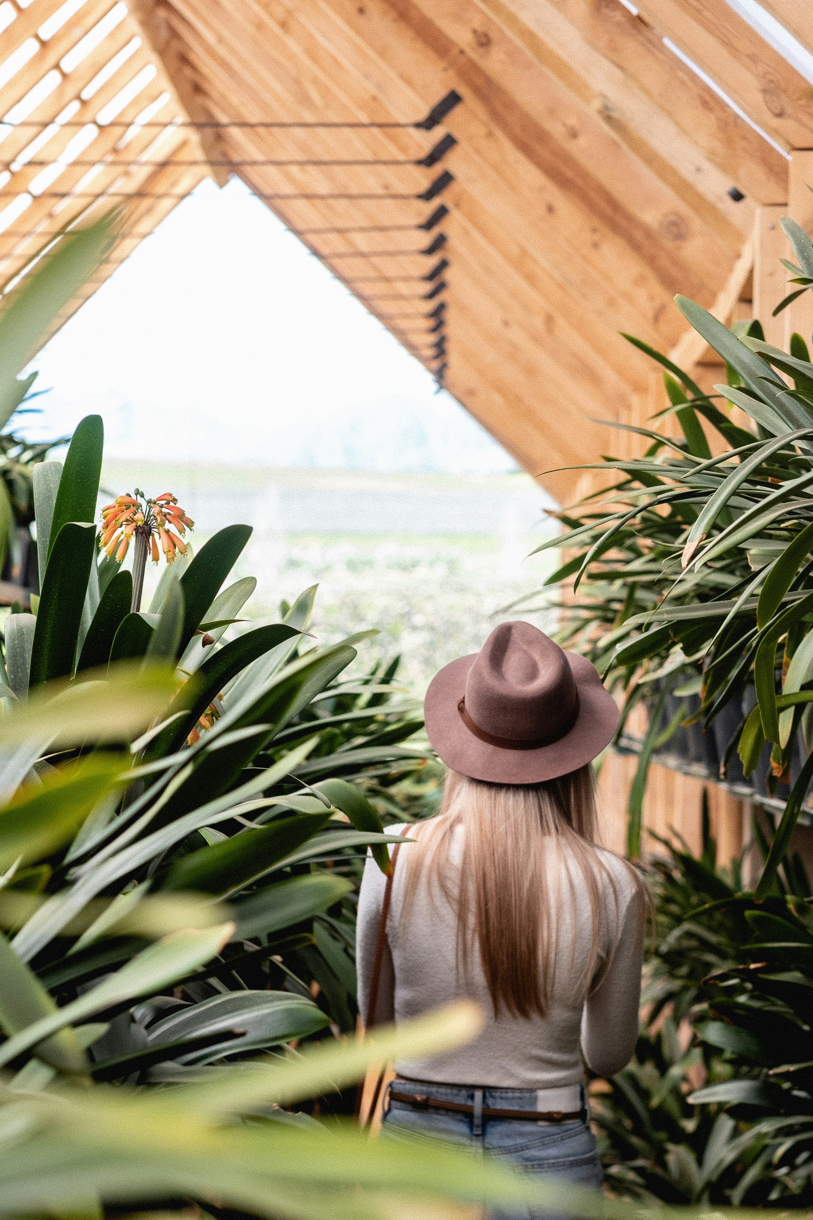 Under the Glasshouse Path: A Woman in a Brown Hat Navigates Verdant Aisles