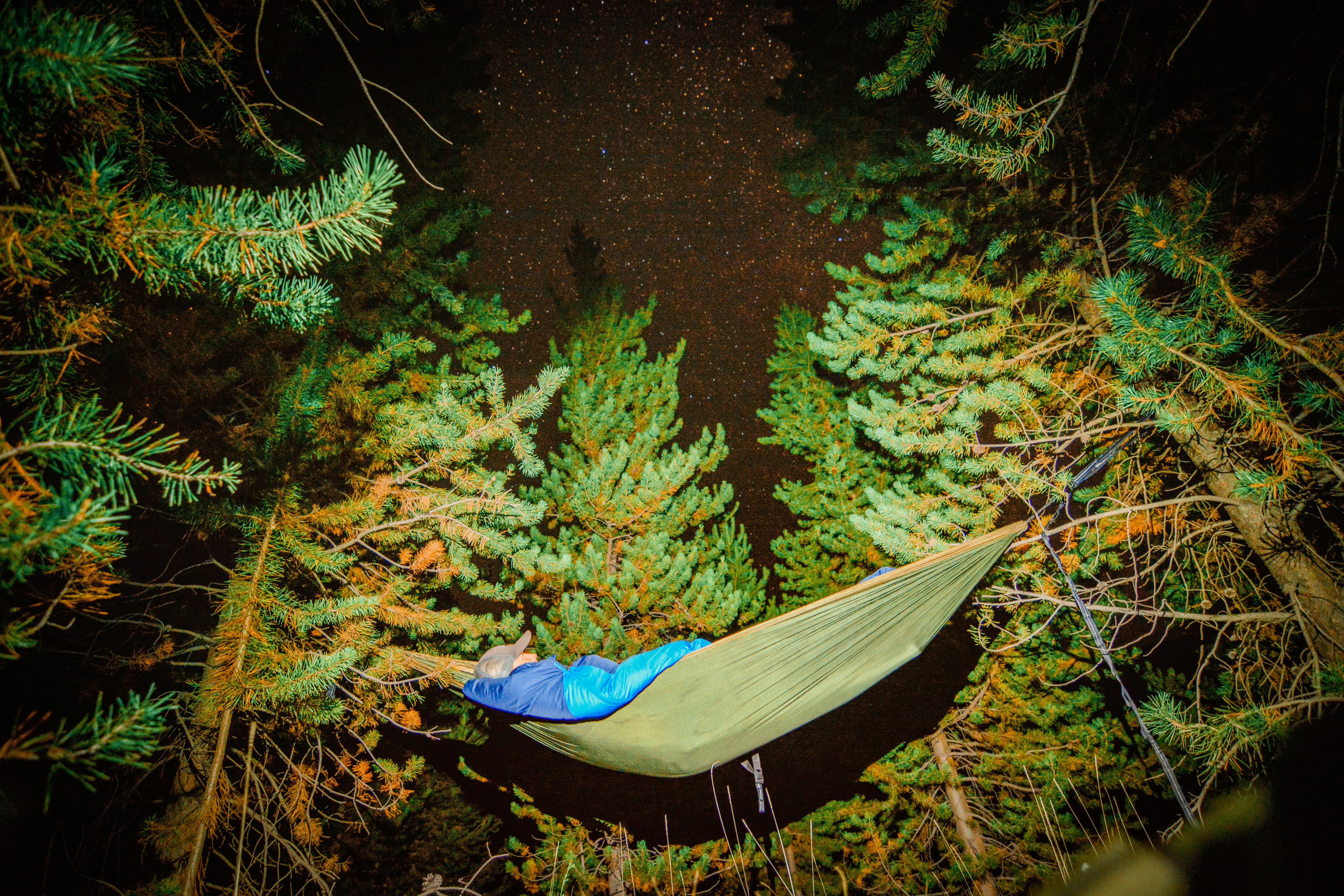 Hammock strung between pine trees at night, surrounded by dense foliage and illuminated by soft lighting.