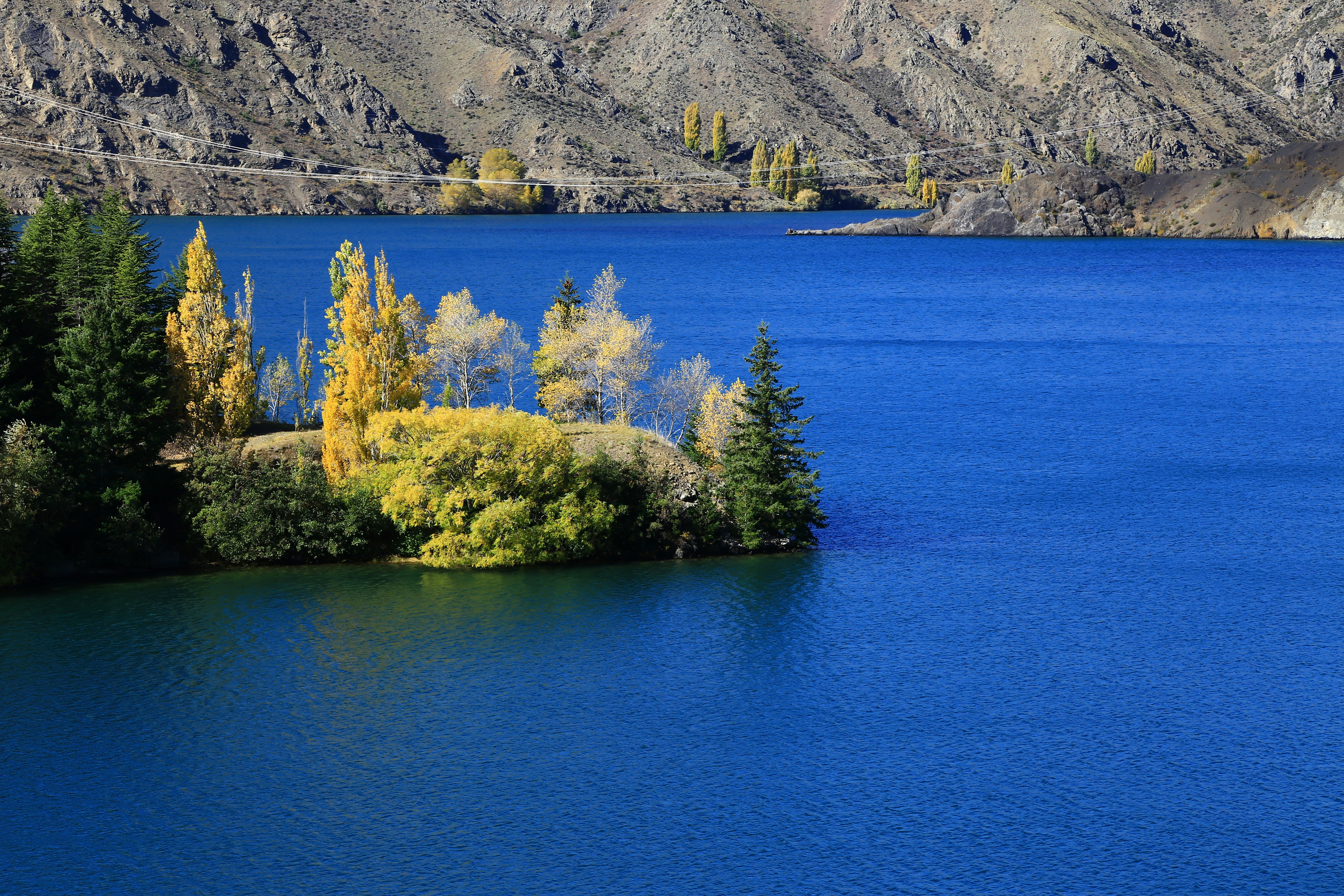 Autumn Edge: Golden Trees Framing a Quiet Blue Lake