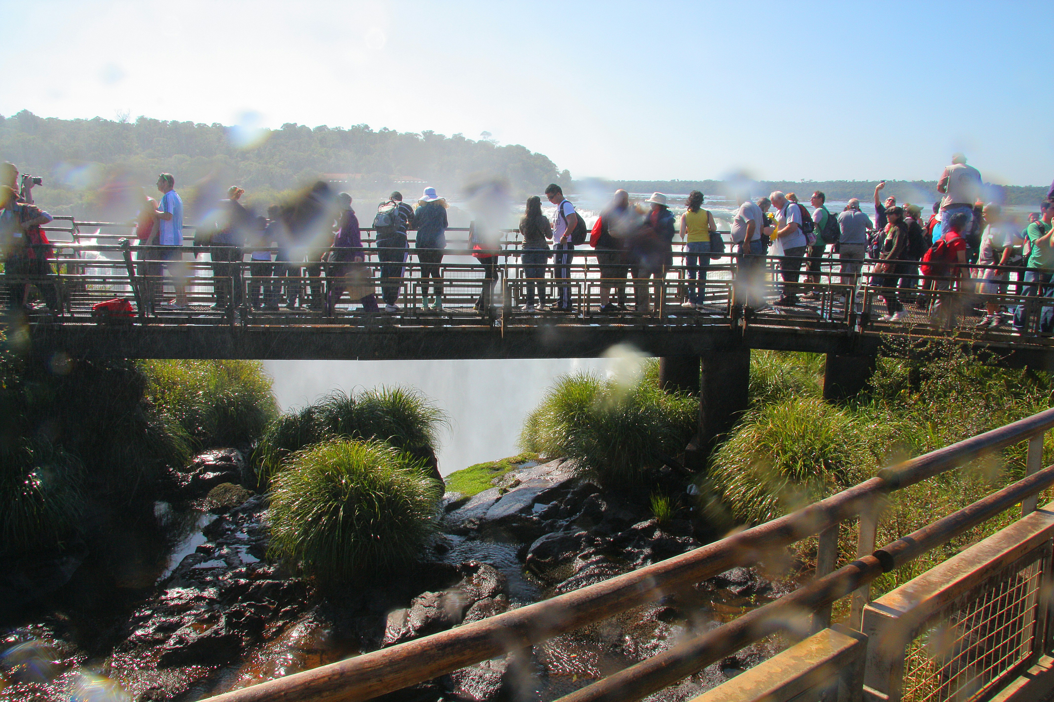 Bridge of Flock: People Crossing in a Misty Gorge