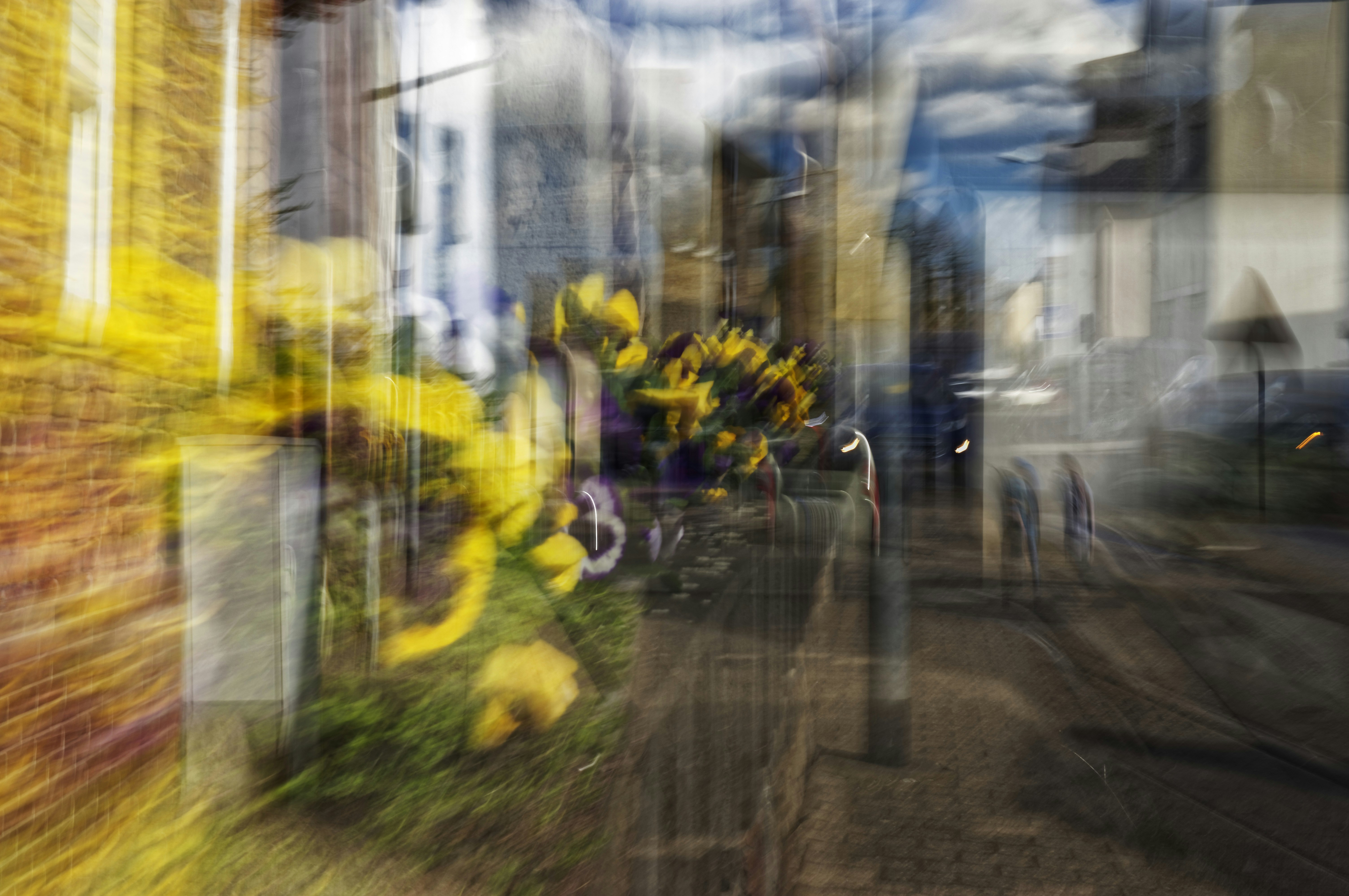 Photograph of a storefront window with sunflowers blurred by motion, revealing reflections and interior details.