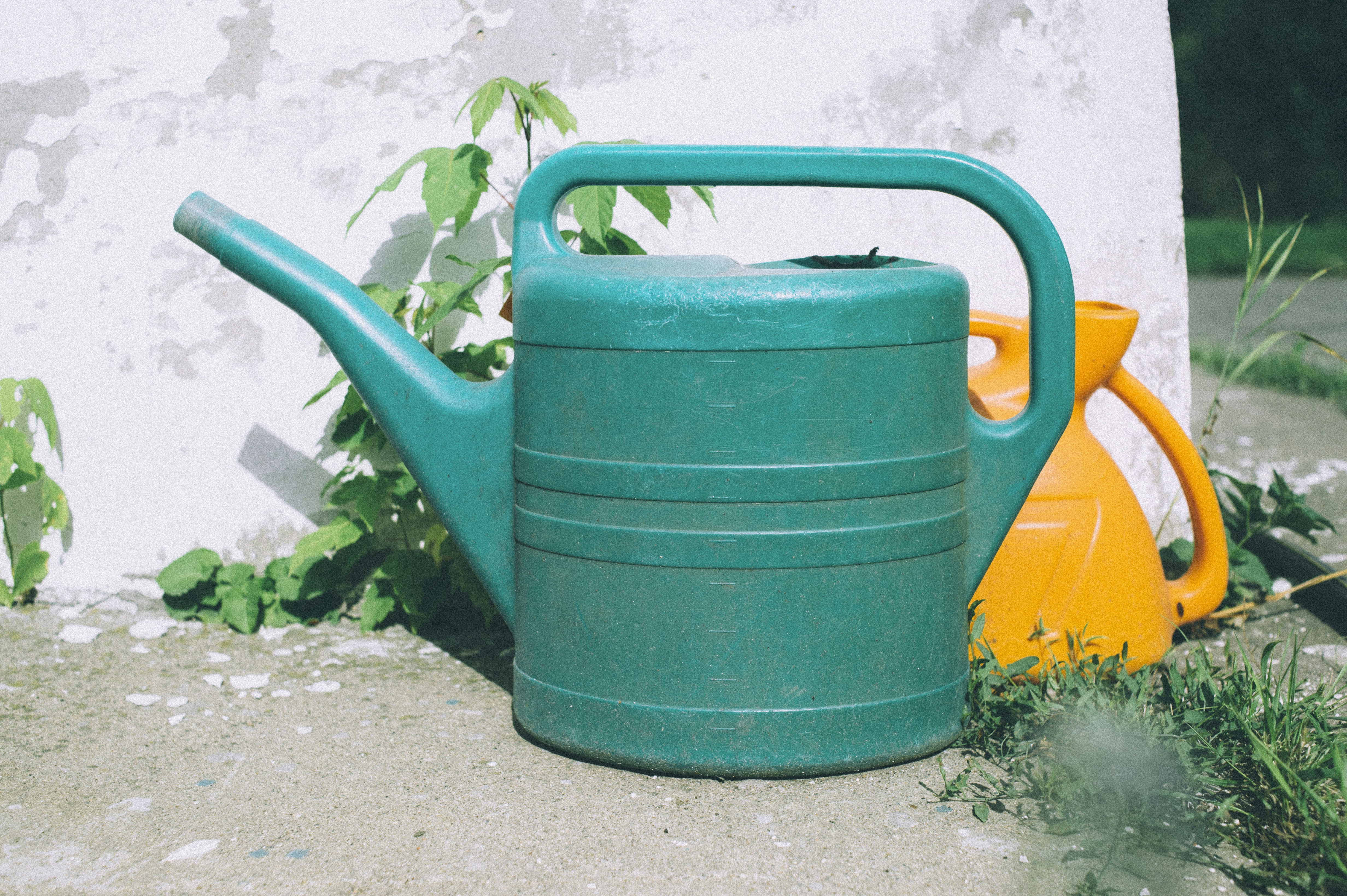 30k+ Watering Can Pictures | Download Free Images on Unsplash