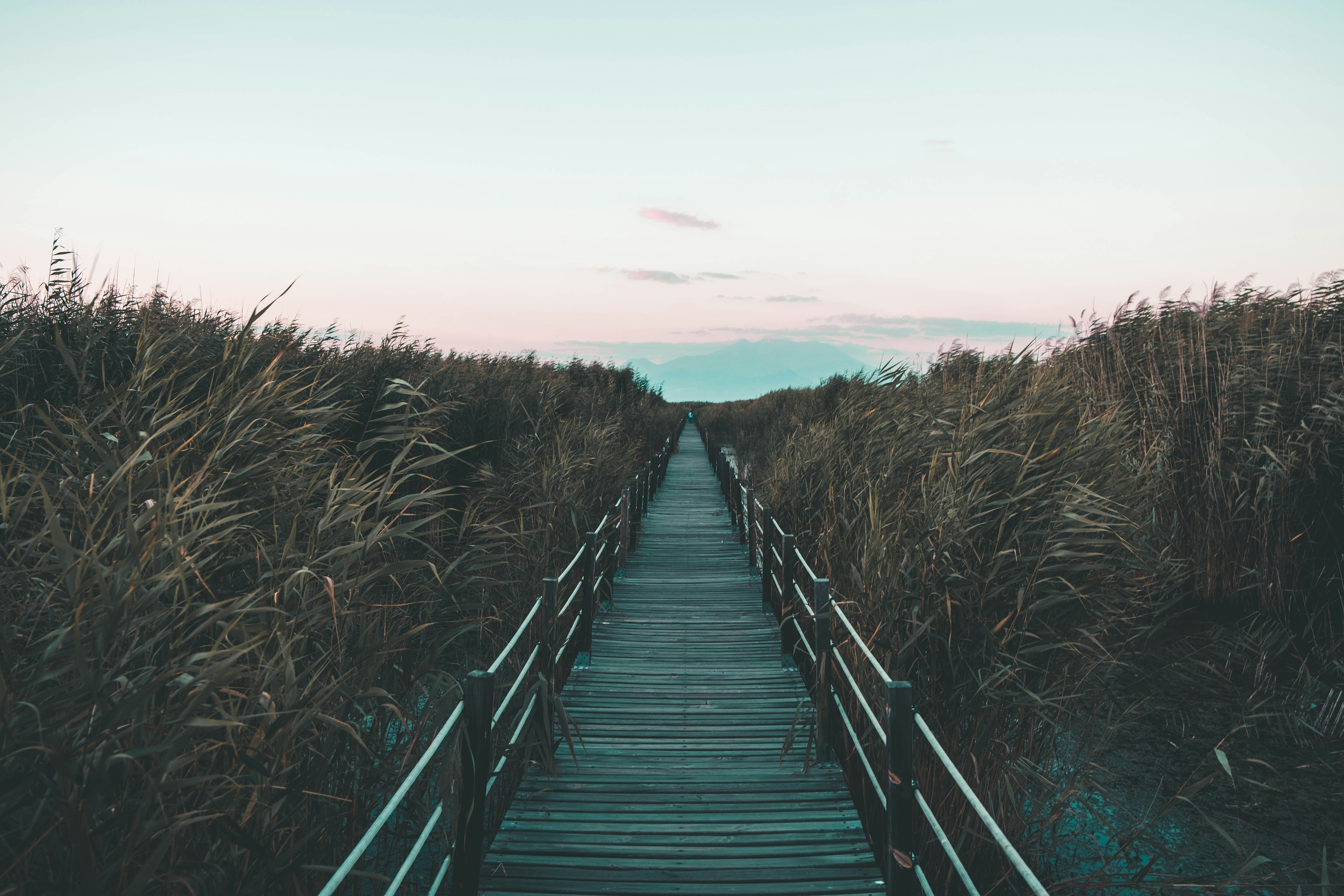 Brown wooden bridge on brown grass field during daytime photo – Free ...