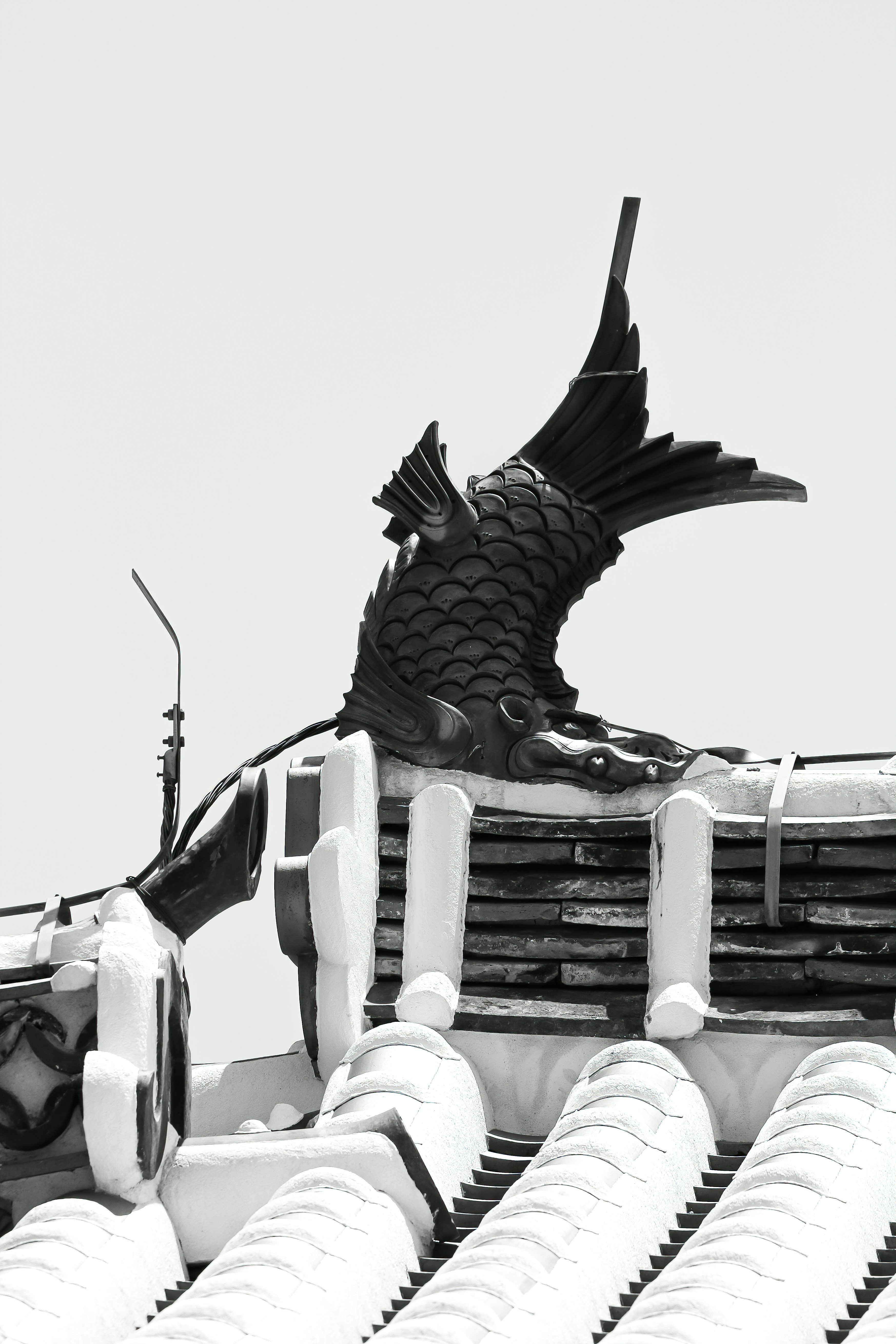 Dragon Crest Over White Tile: A Monochrome Rooftop Guardian