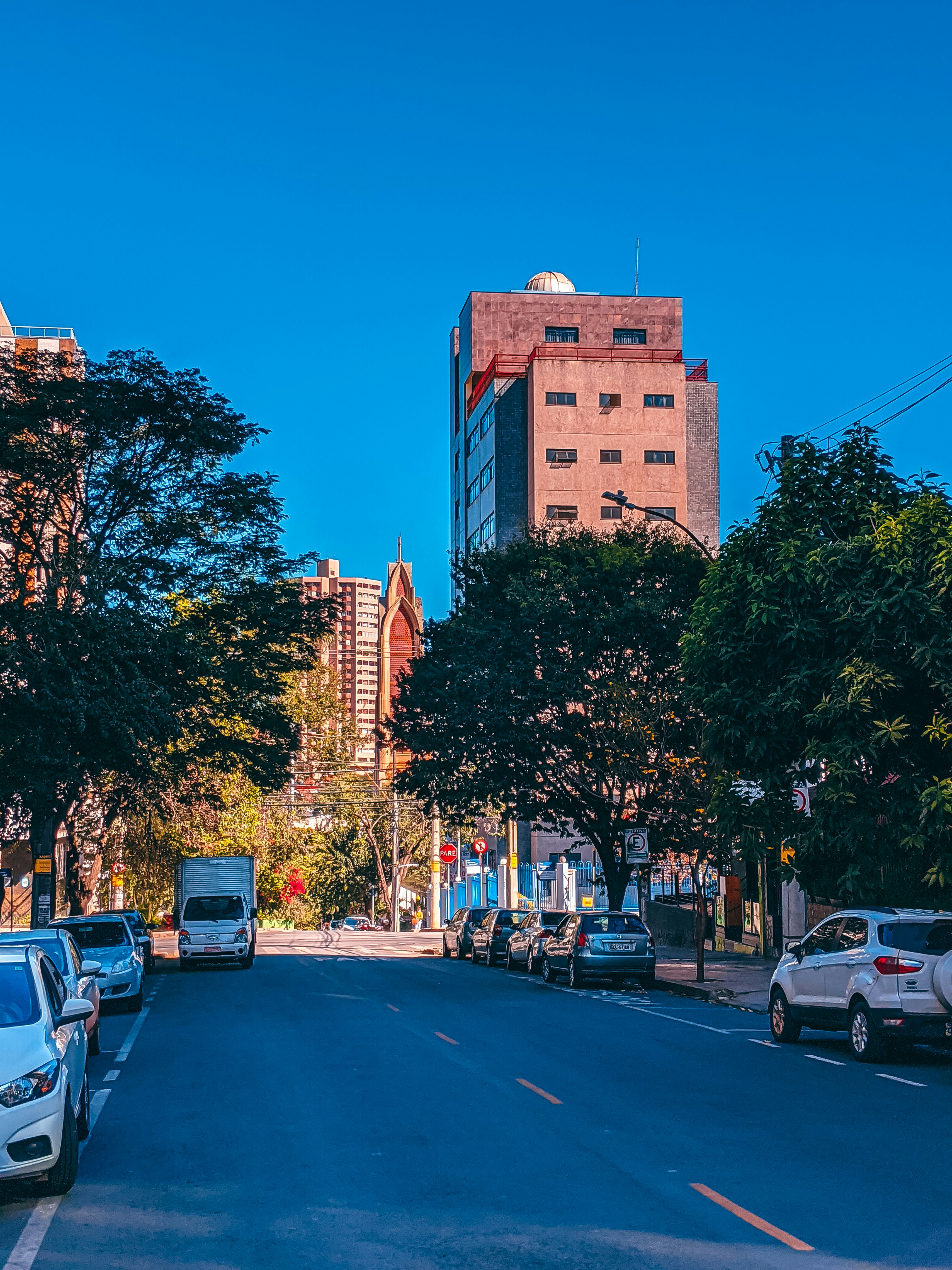 Vibrant city street lined with trees and parked cars, leading towards a backdrop of modern buildings under a clear blue sky.