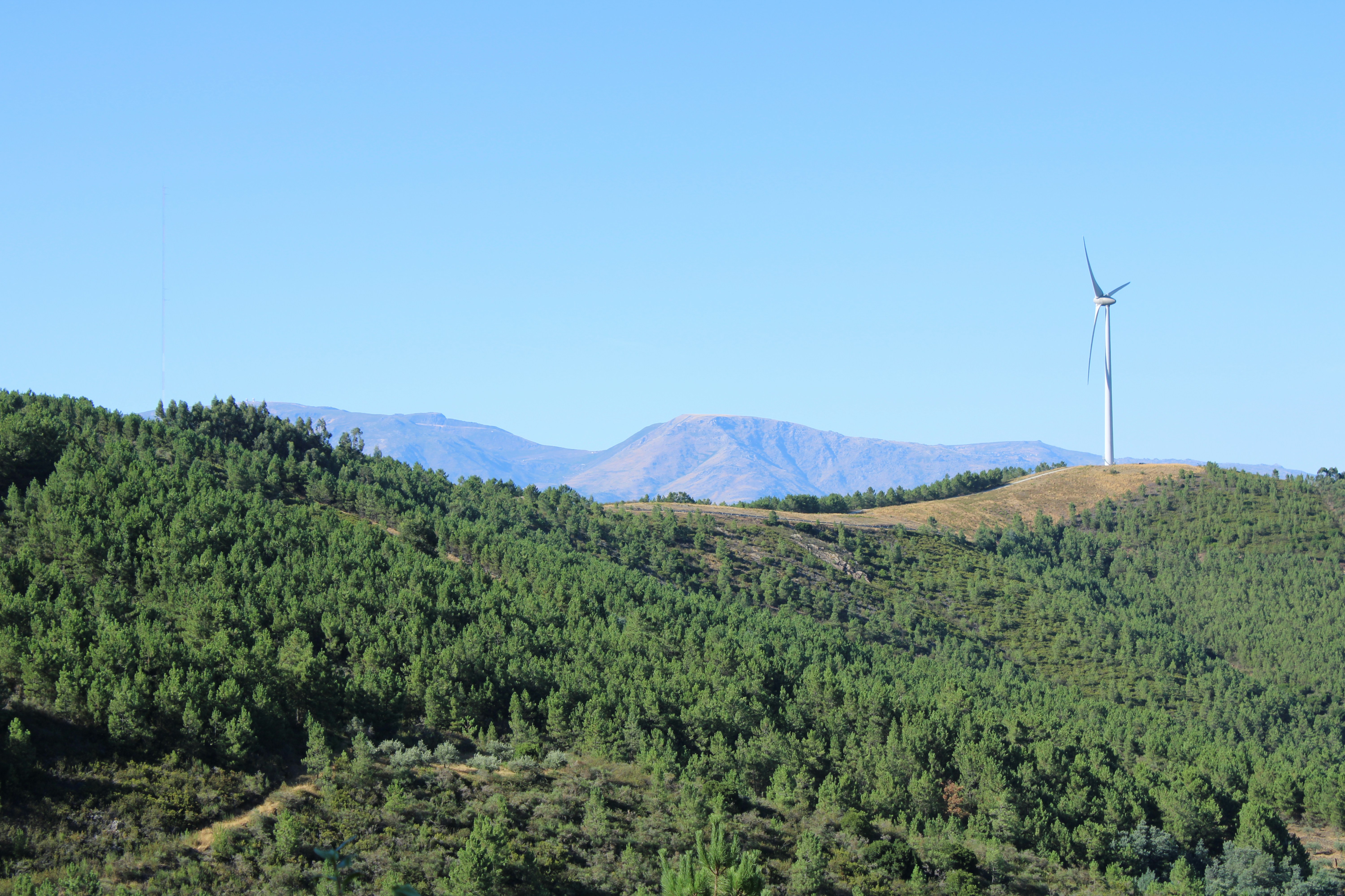 Wind Sentinel on the Ridge: A Lone Turbine Over Green Hills