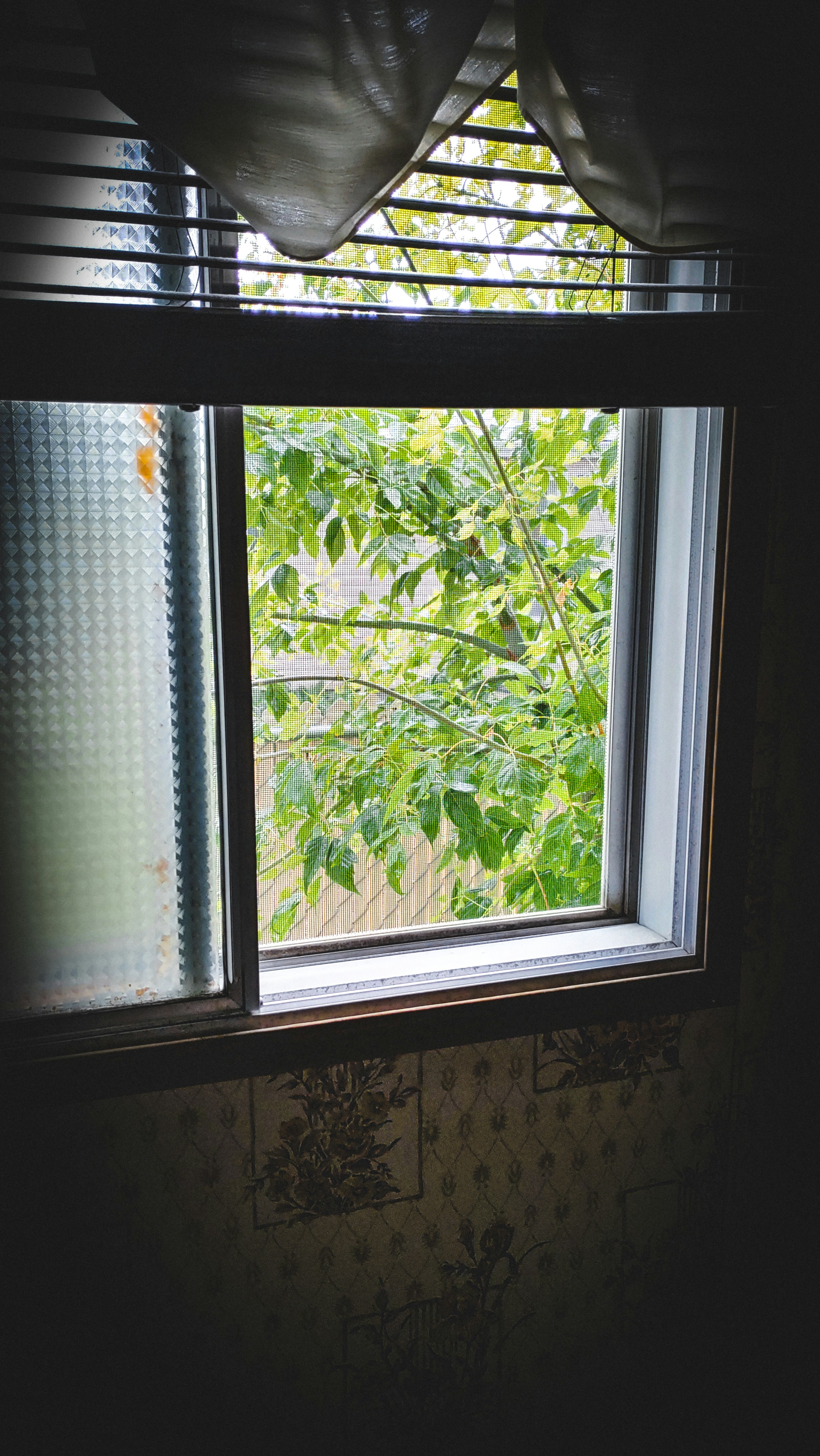 Sample photo from LG G8X ThinQ