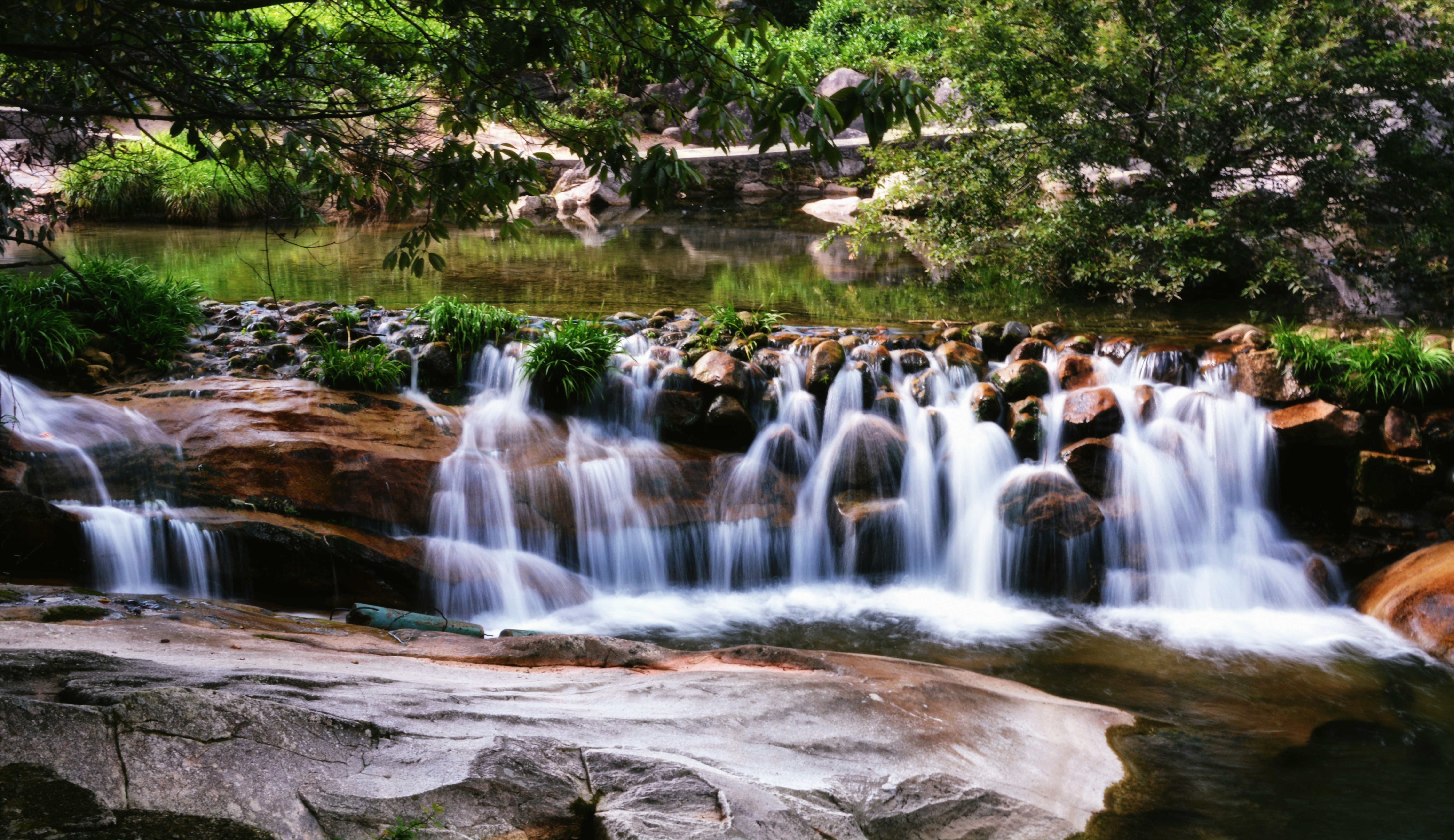 Waterfall Mosaic: A Quiet Stream Crossing Beneath a Lush Canopy