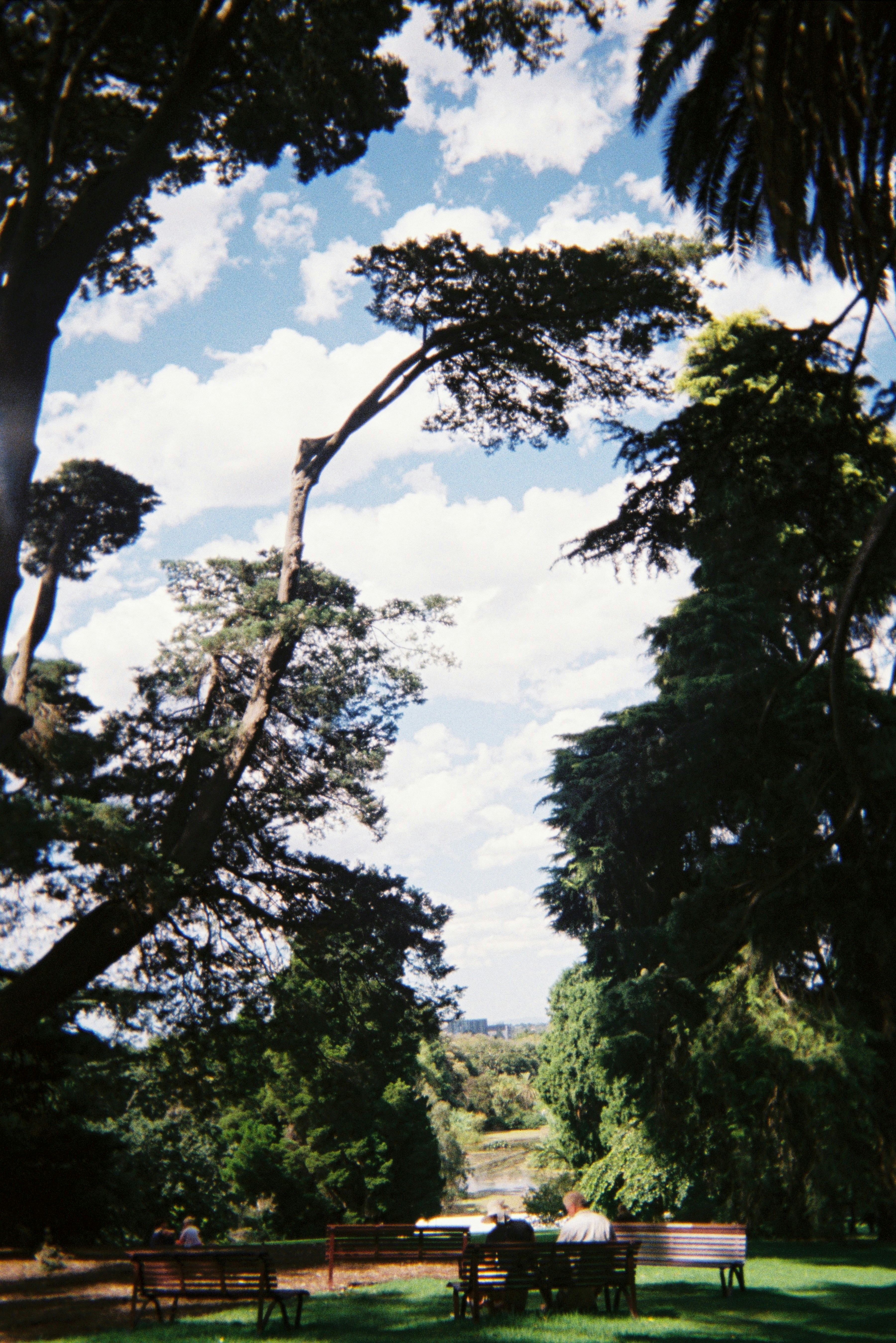 Two individuals seated on benches surrounded by lush trees and a serene landscape, with a view of the sky dotted with clouds.