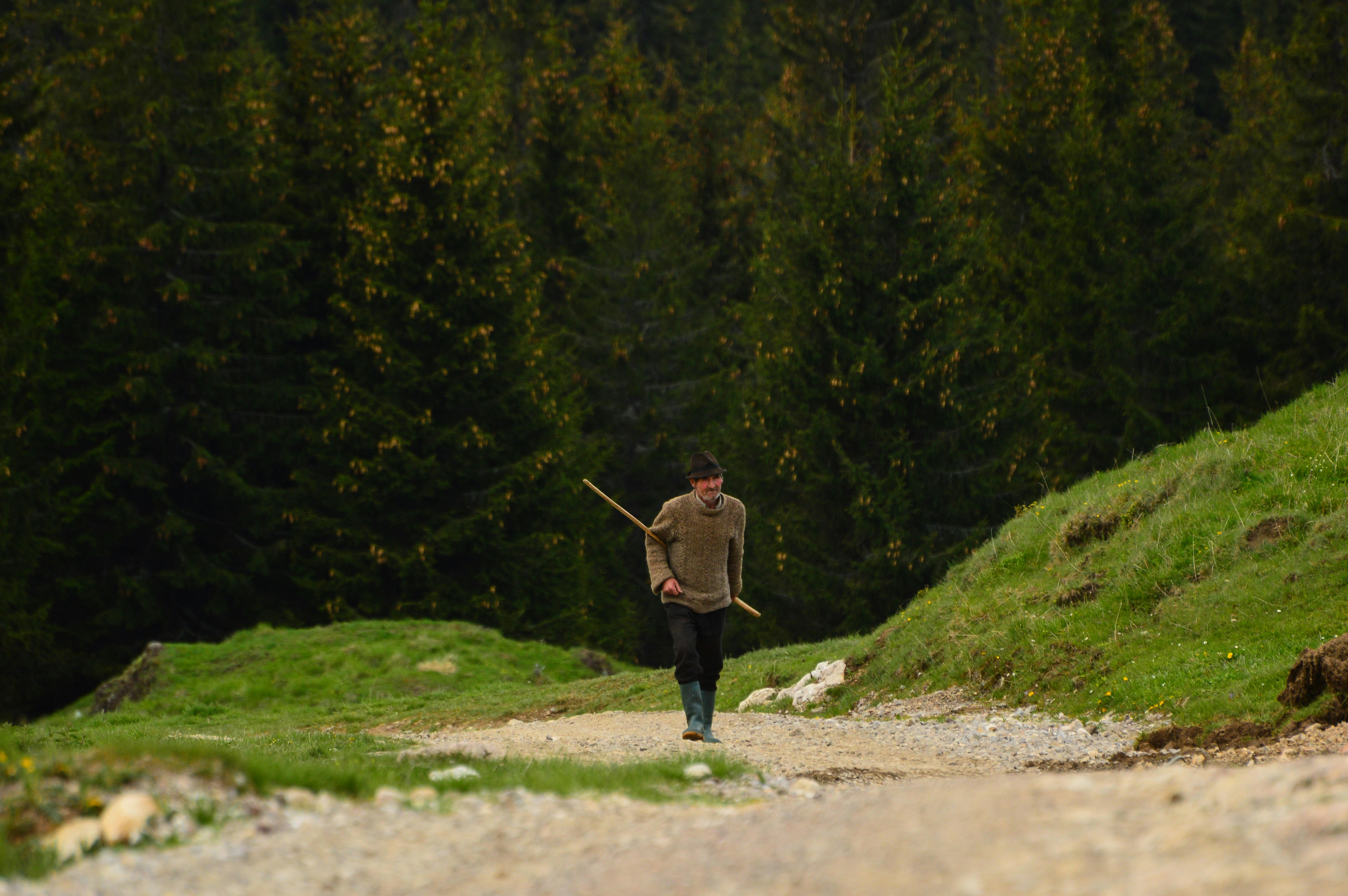 Gypsy Pictures | Download Free Images & Stock Photos on Unsplash