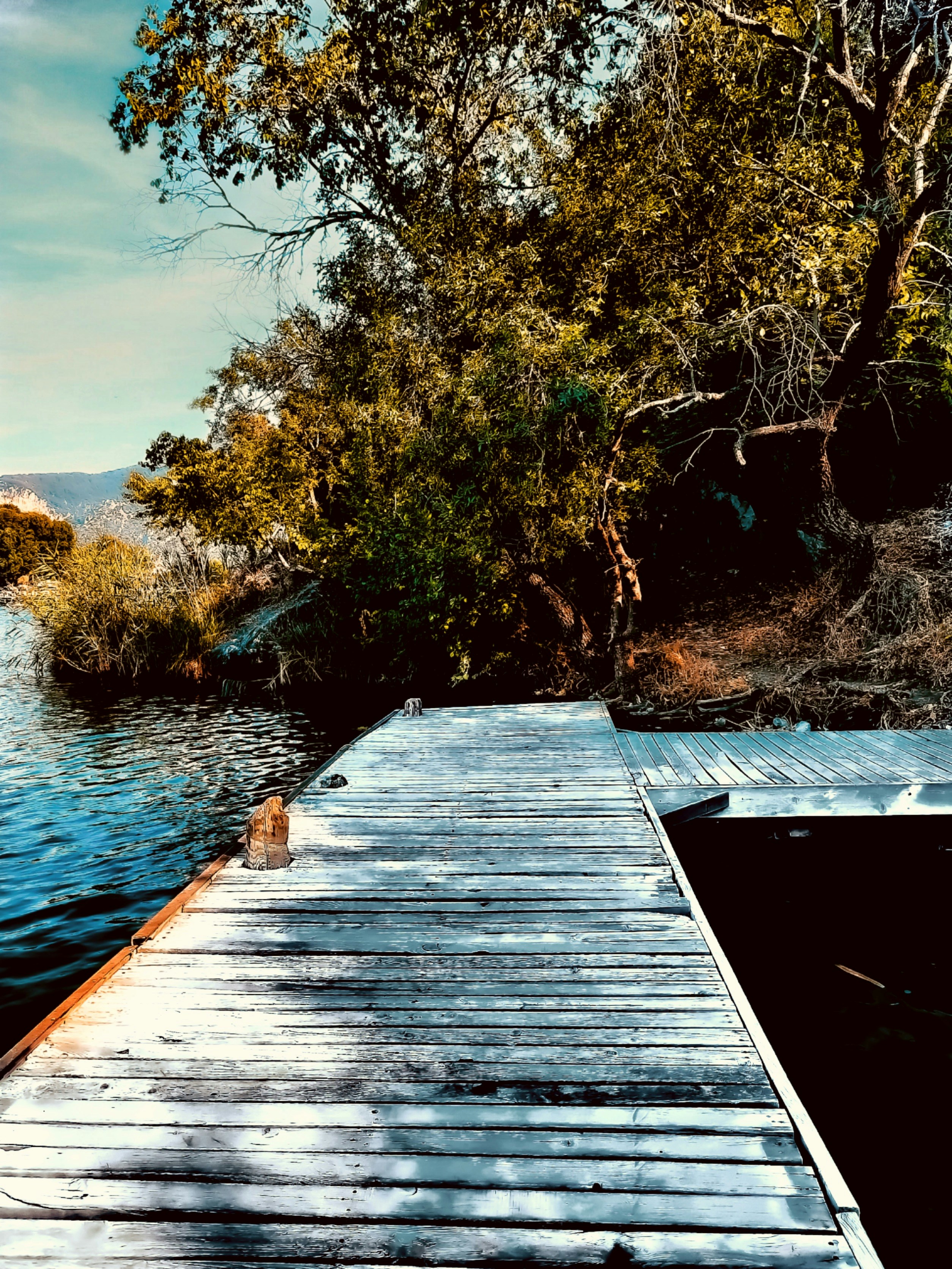 Wooden dock extending into a serene body of water, framed by lush greenery and distant mountains.