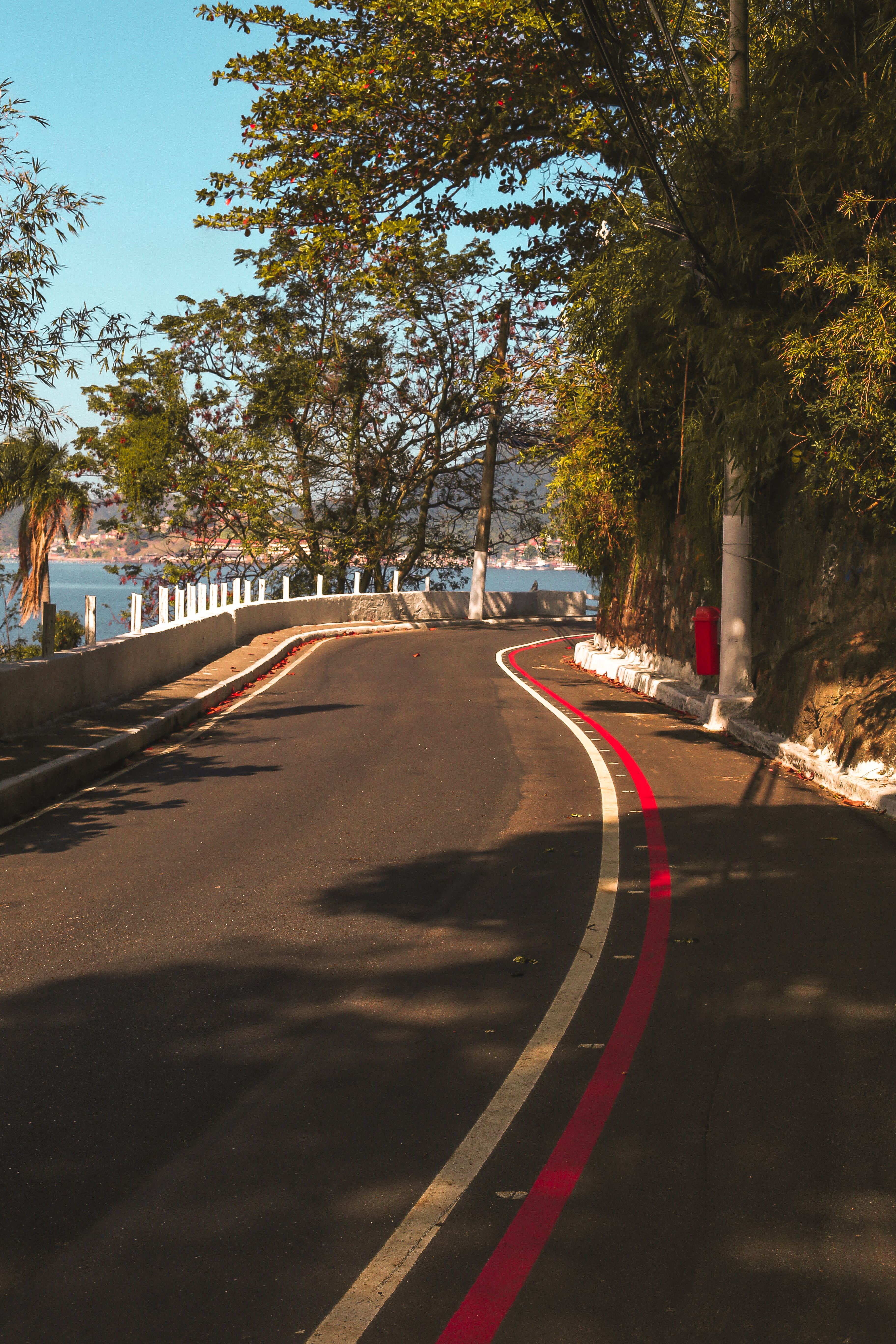 Winding Pathway to Serenity