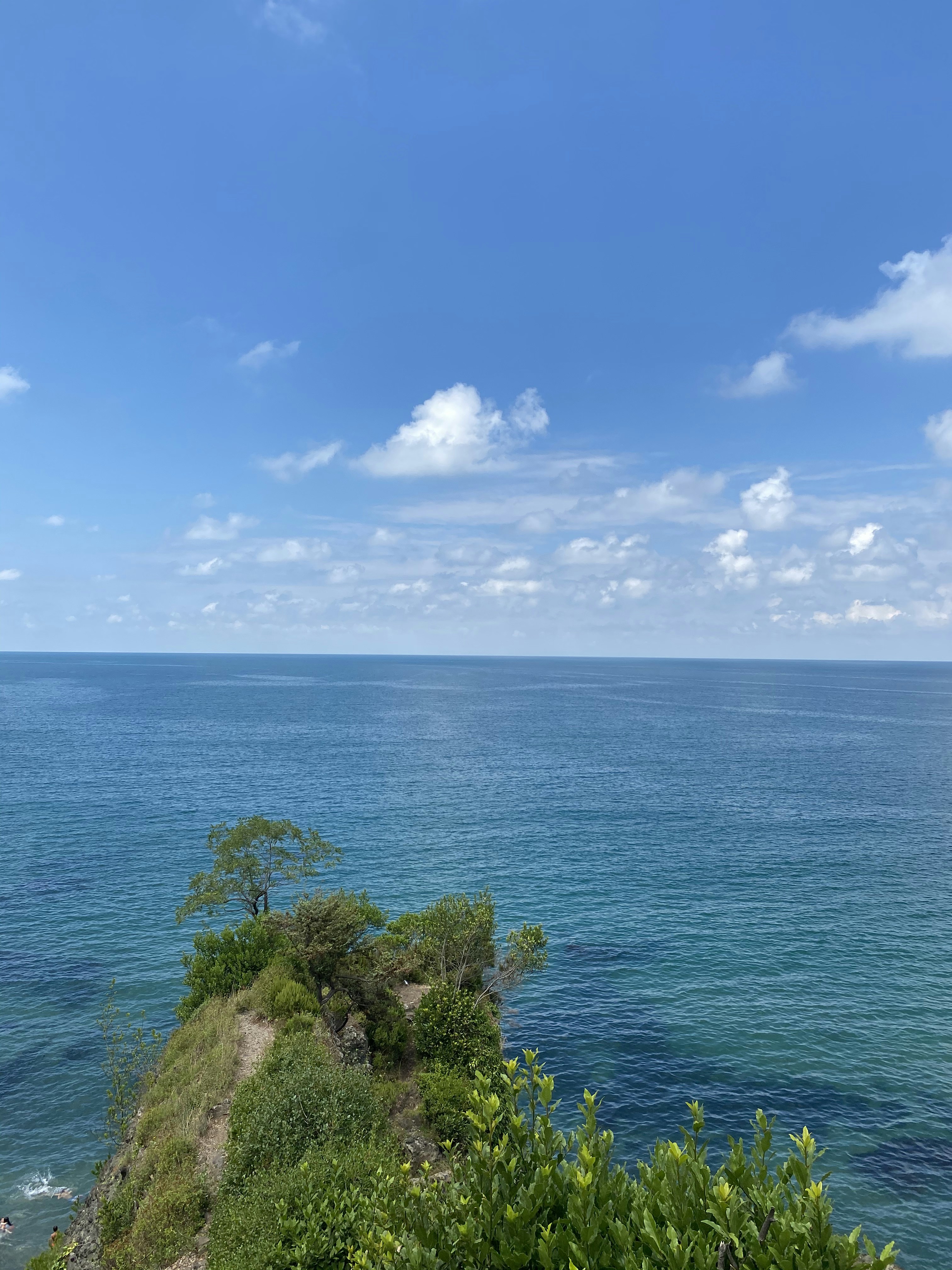Foto Árboles verdes en la isla durante el día – Imagen Azul gratis en ...