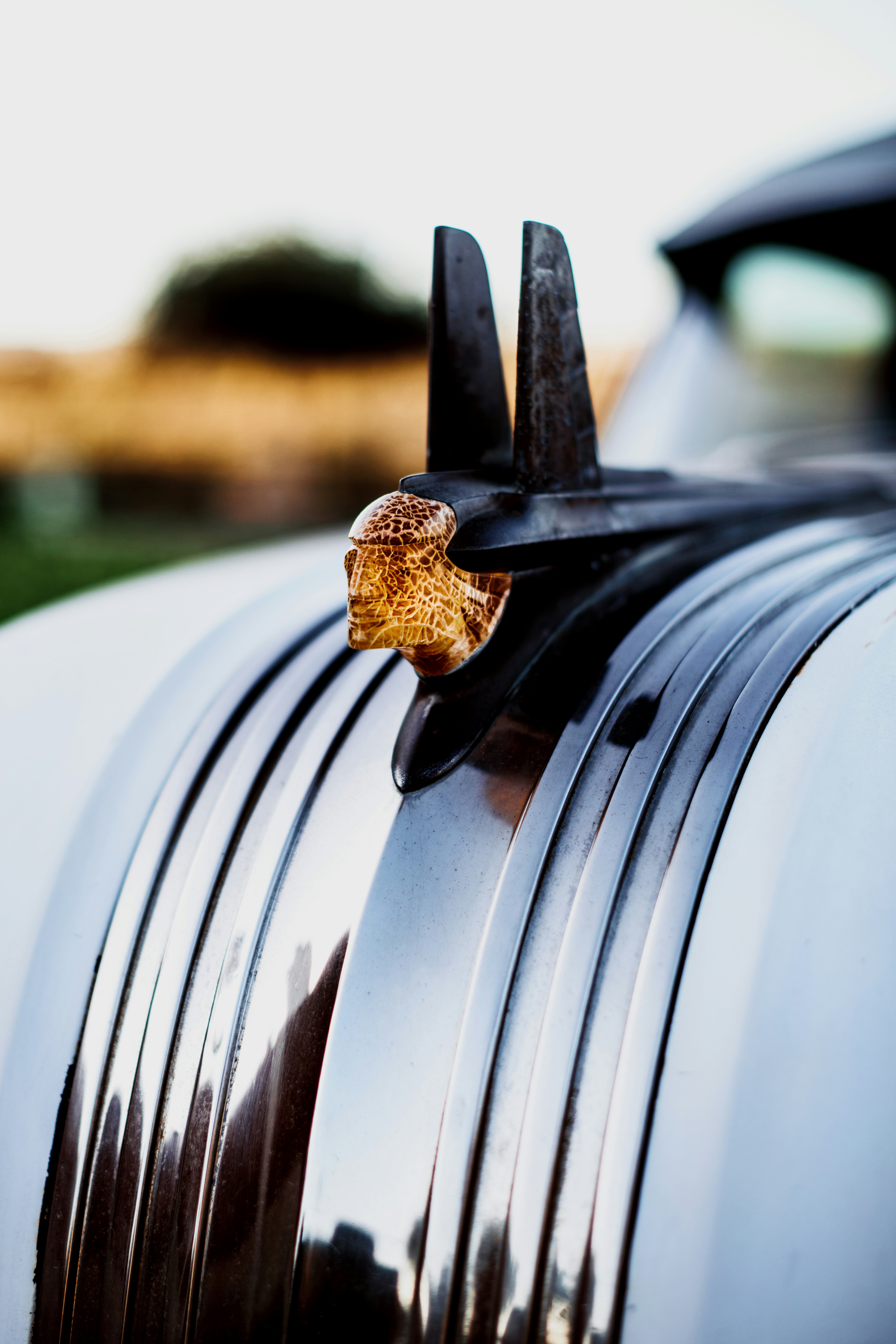 Amber Fragment Perched on Chrome: A Macro Study of Texture and Reflection