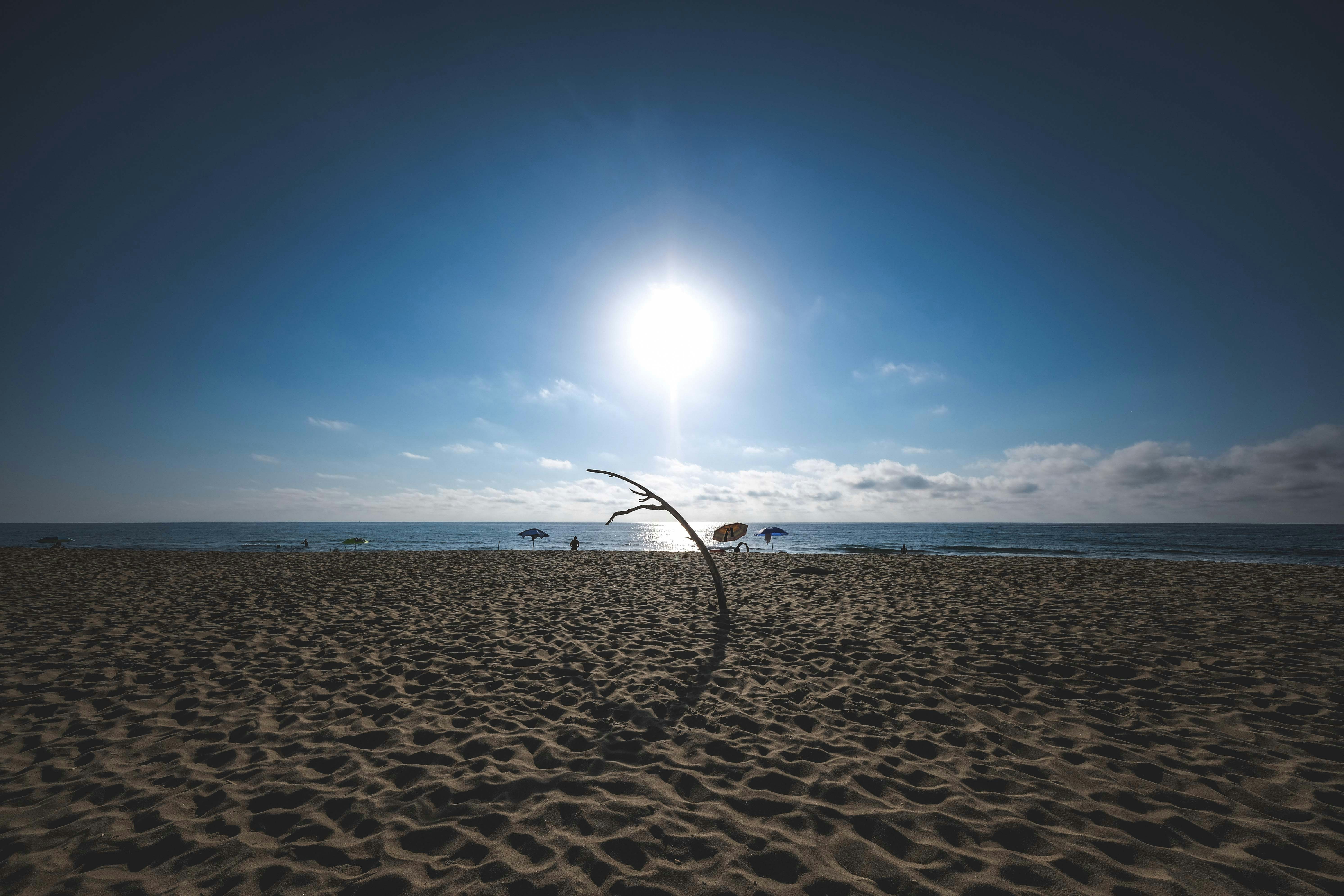 Sunlit Beach Ring: A lone arc of seaweed against a vast shoreline