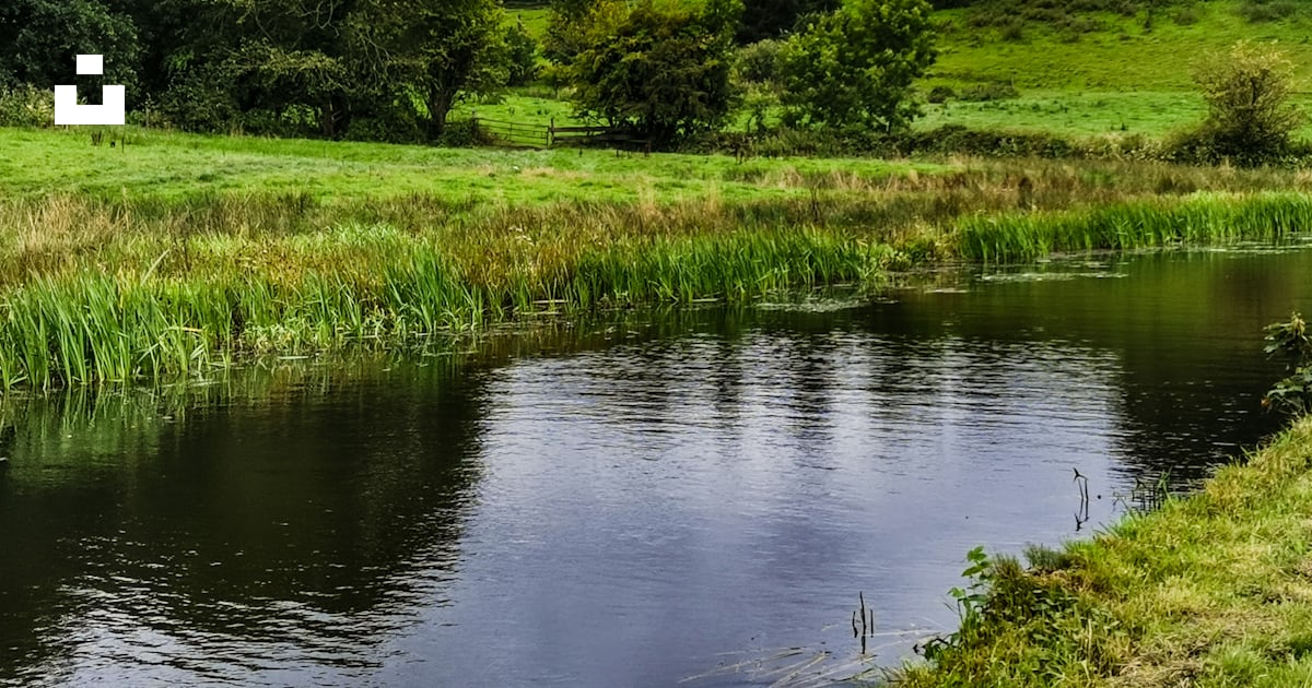 Green Grass Field Near River Under Cloudy Sky During Daytime Photo