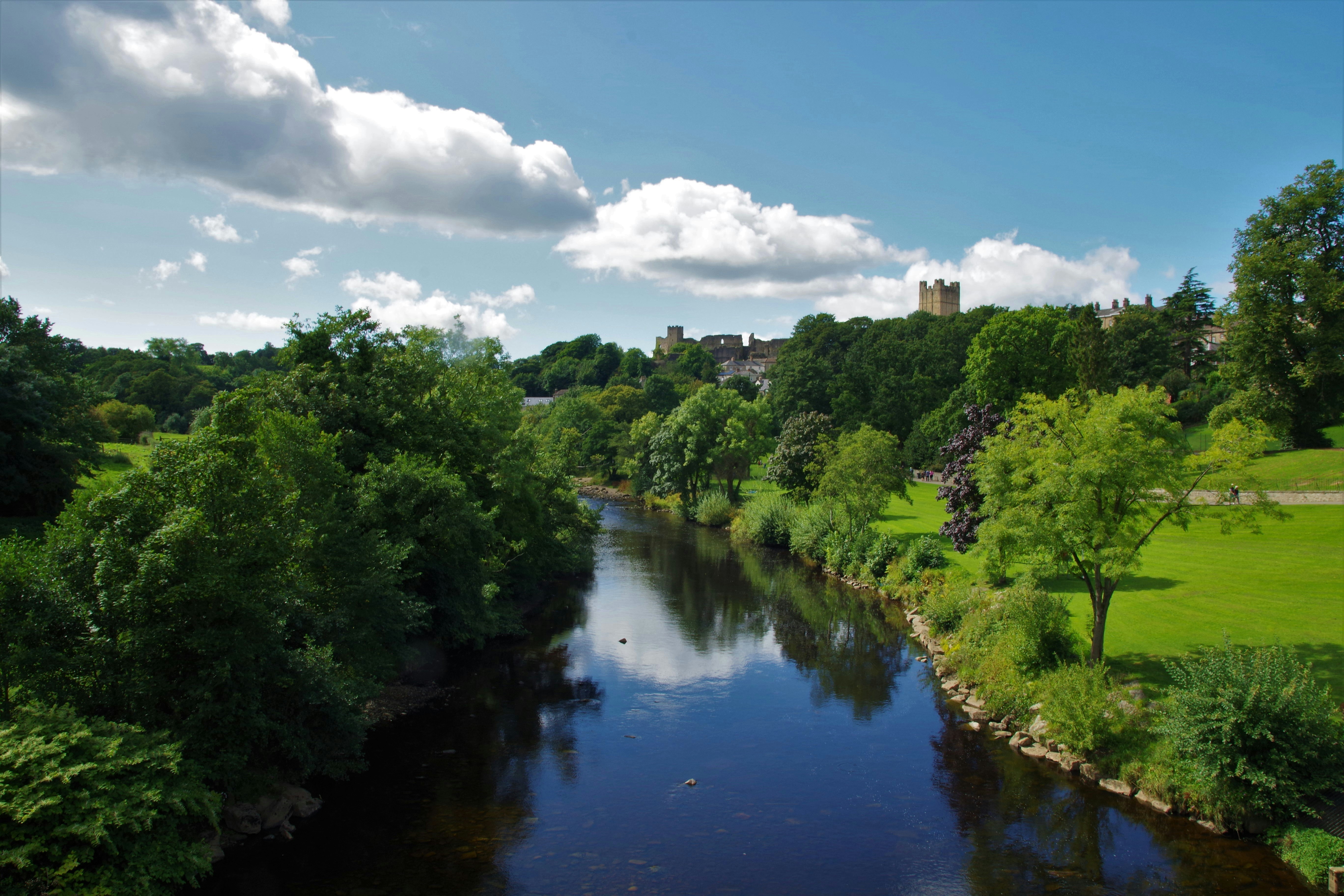 Lush green trees line a tranquil river under a vibrant blue sky with scattered clouds.